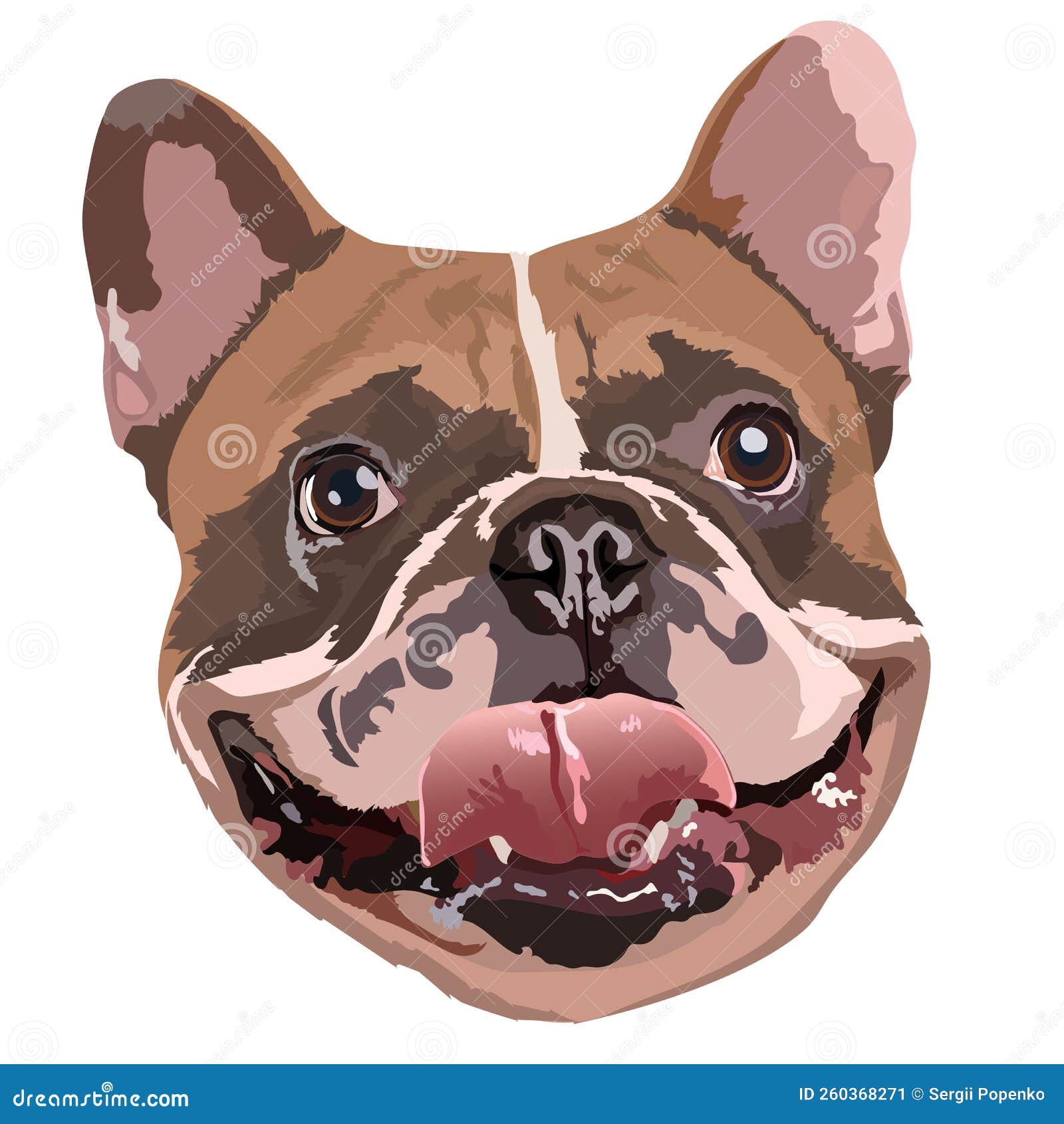 English Bulldog Face Vector Illustration Stock Vector - Illustration of ...