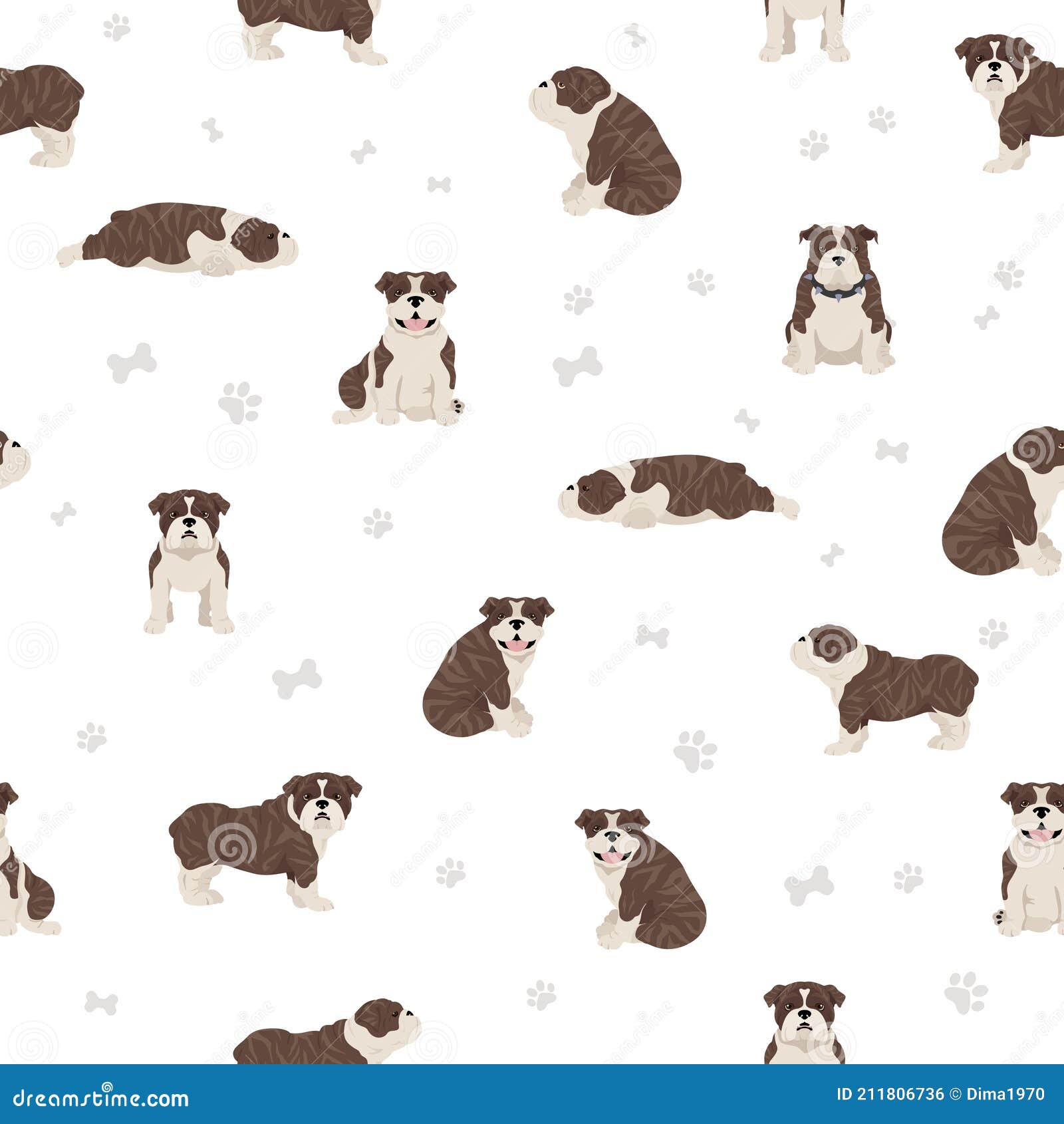 English Bulldog Seamless Pattern. Different Poses, Coat Colors Set ...