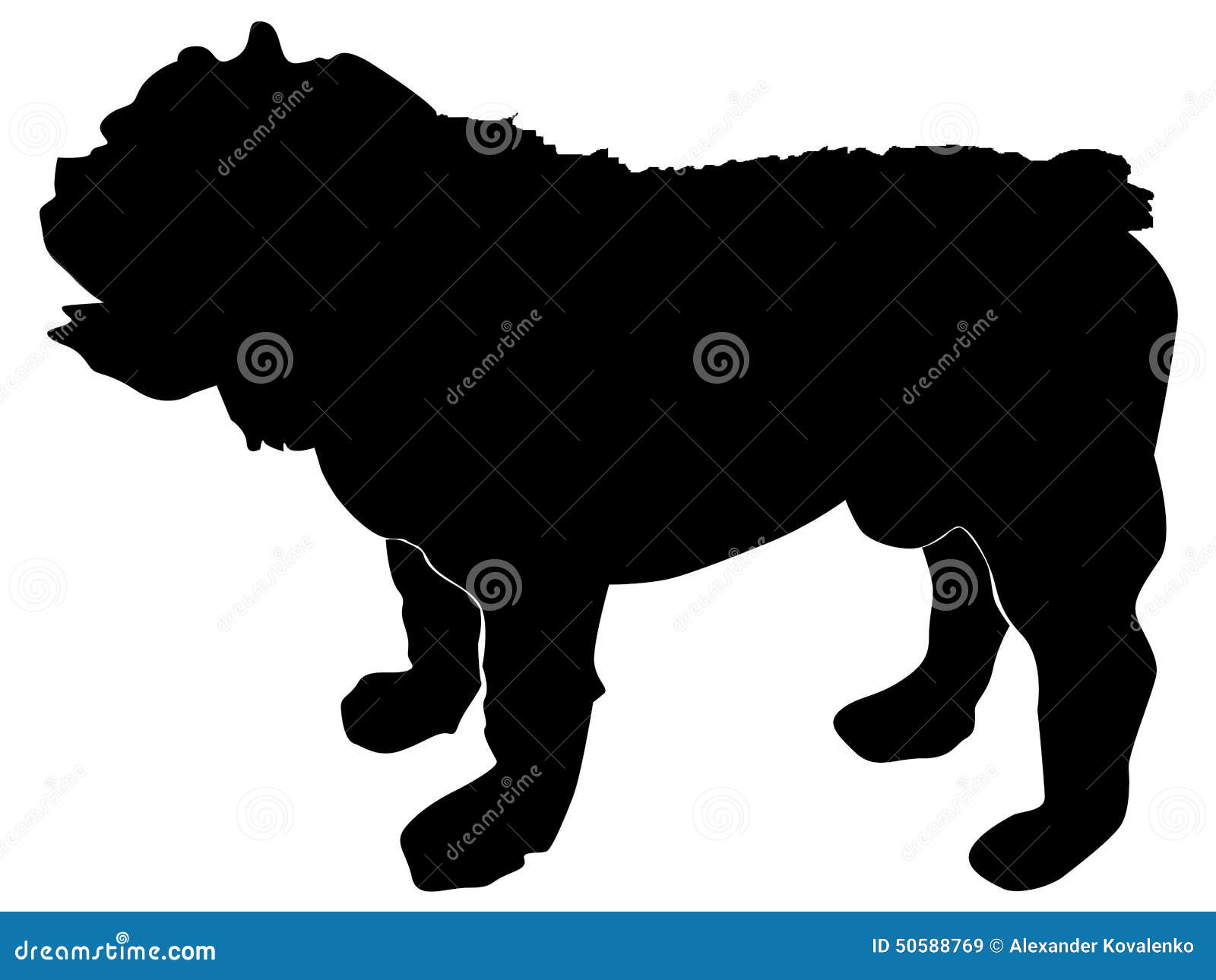 English bulldog stock vector. Illustration of male, standing - 50588769