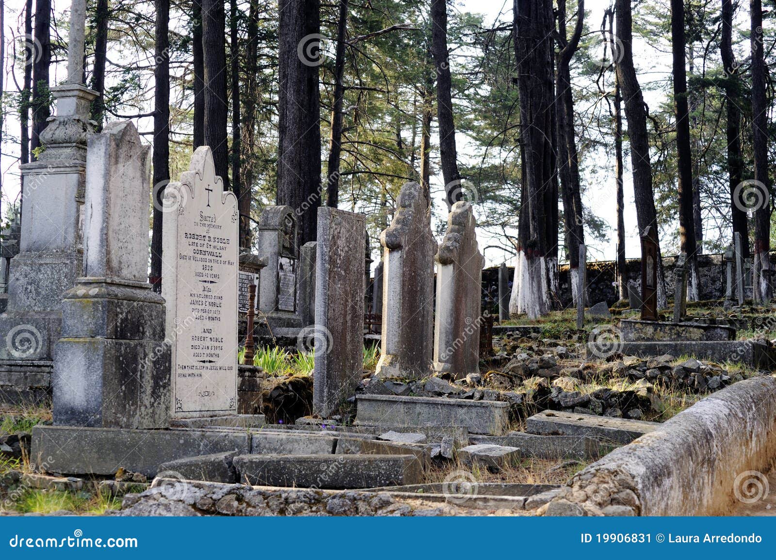 English cemetery editorial photo. Image of memorials - 19906831