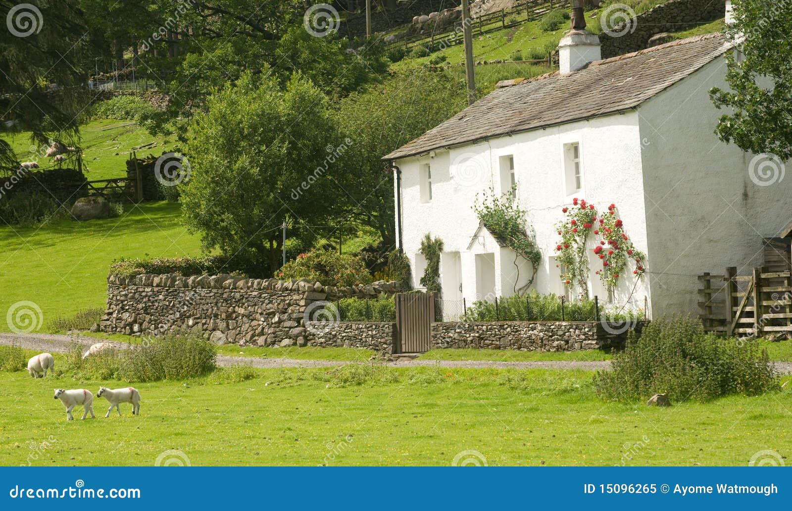English Cottage. Idyllic Setting. Stock Image - Image of scenic ...
