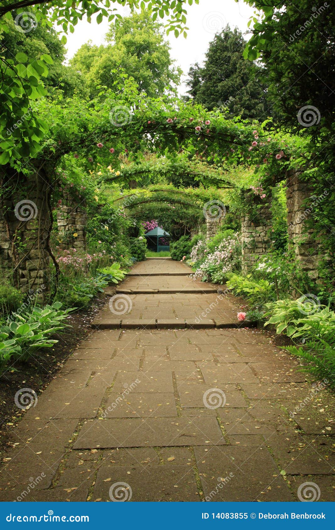 English Country Garden stock image. Image of trellis - 14083855