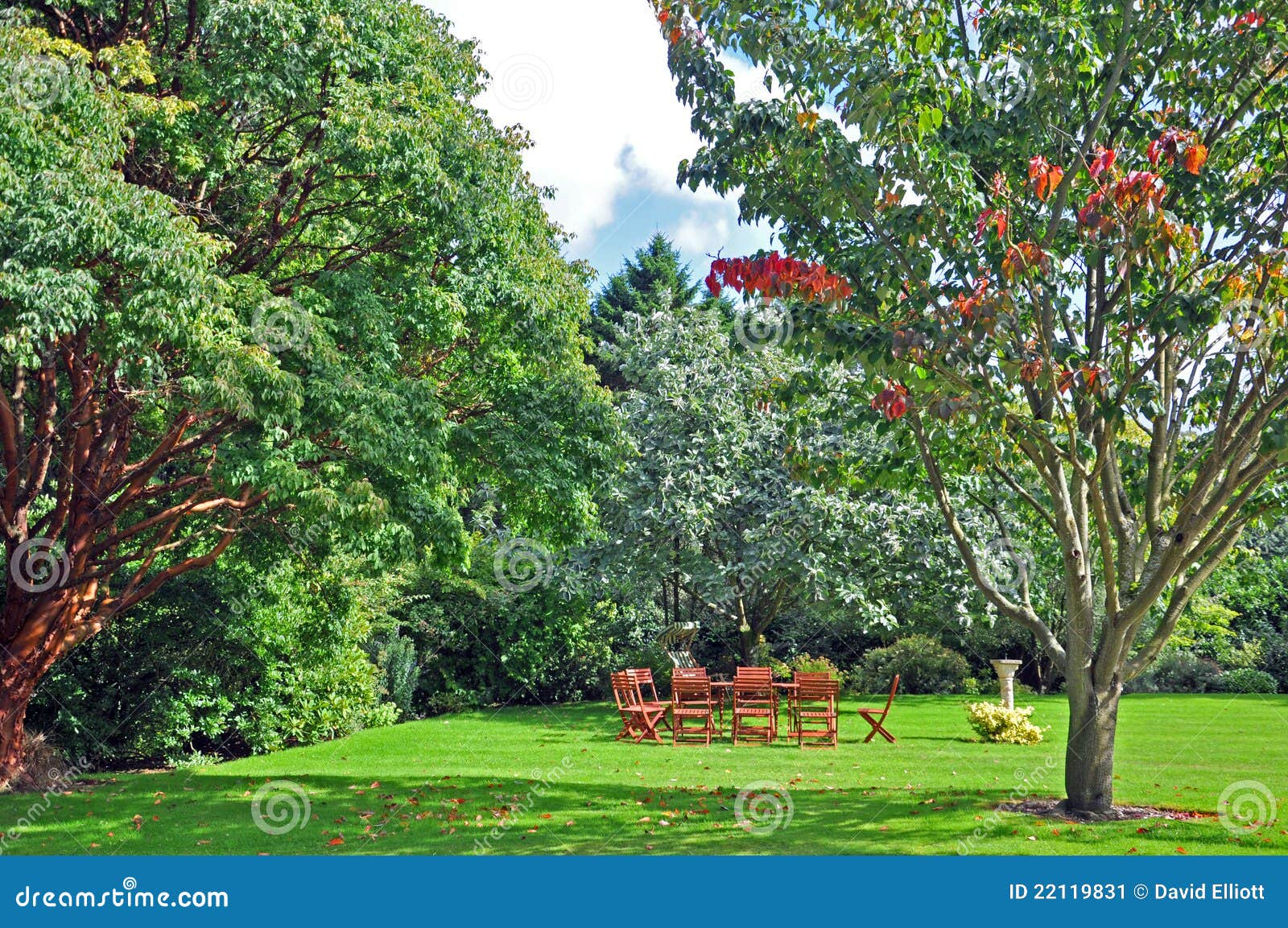 English country garden stock image. Image of field, holiday - 22119831