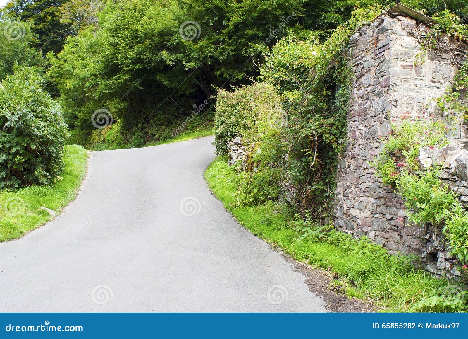 English Country Lane in Devon Stock Photo - Image of picturesque ...