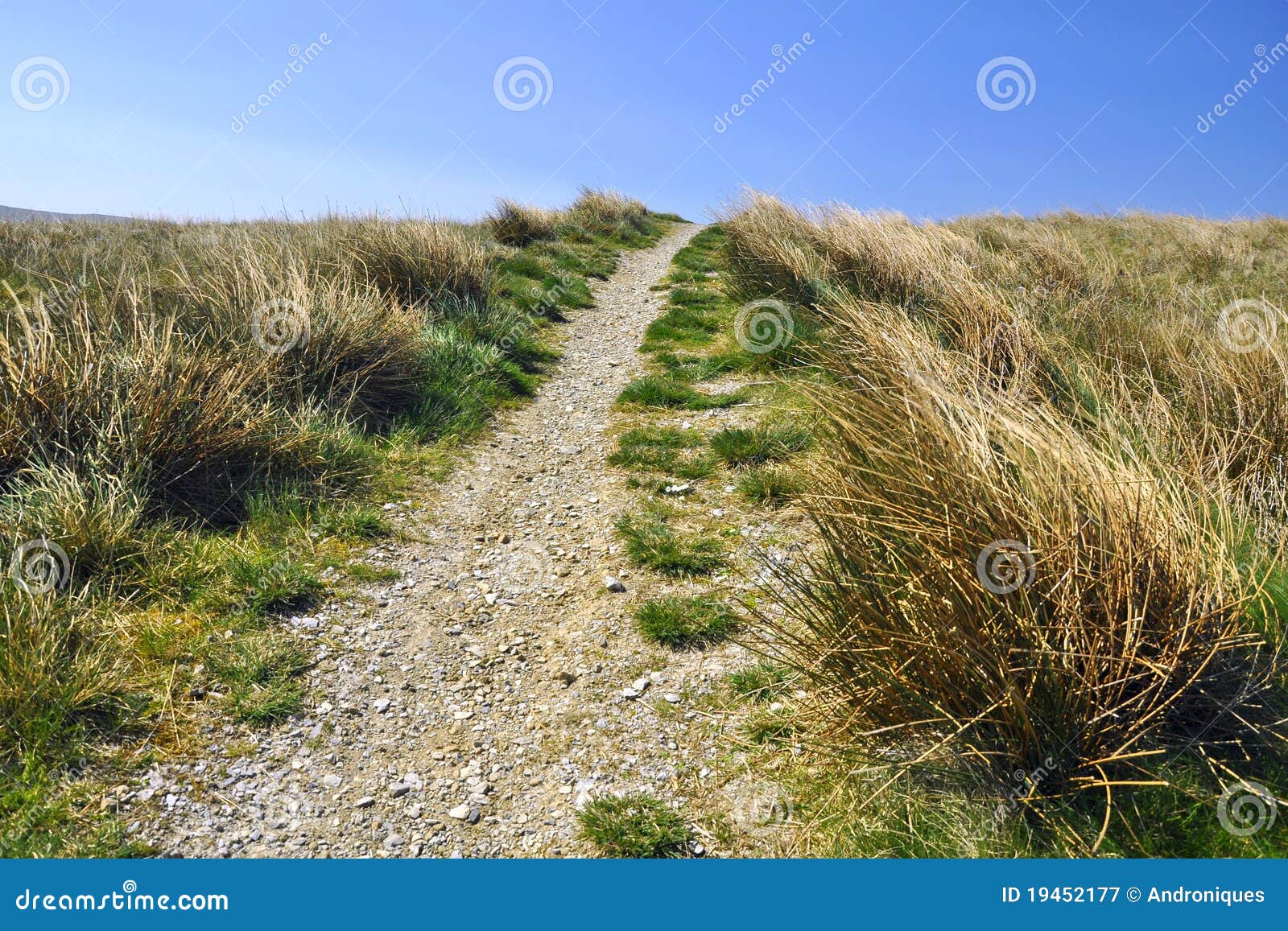English Countryside: Footpath, Grass, Blue Sky Stock Image - Image of ...