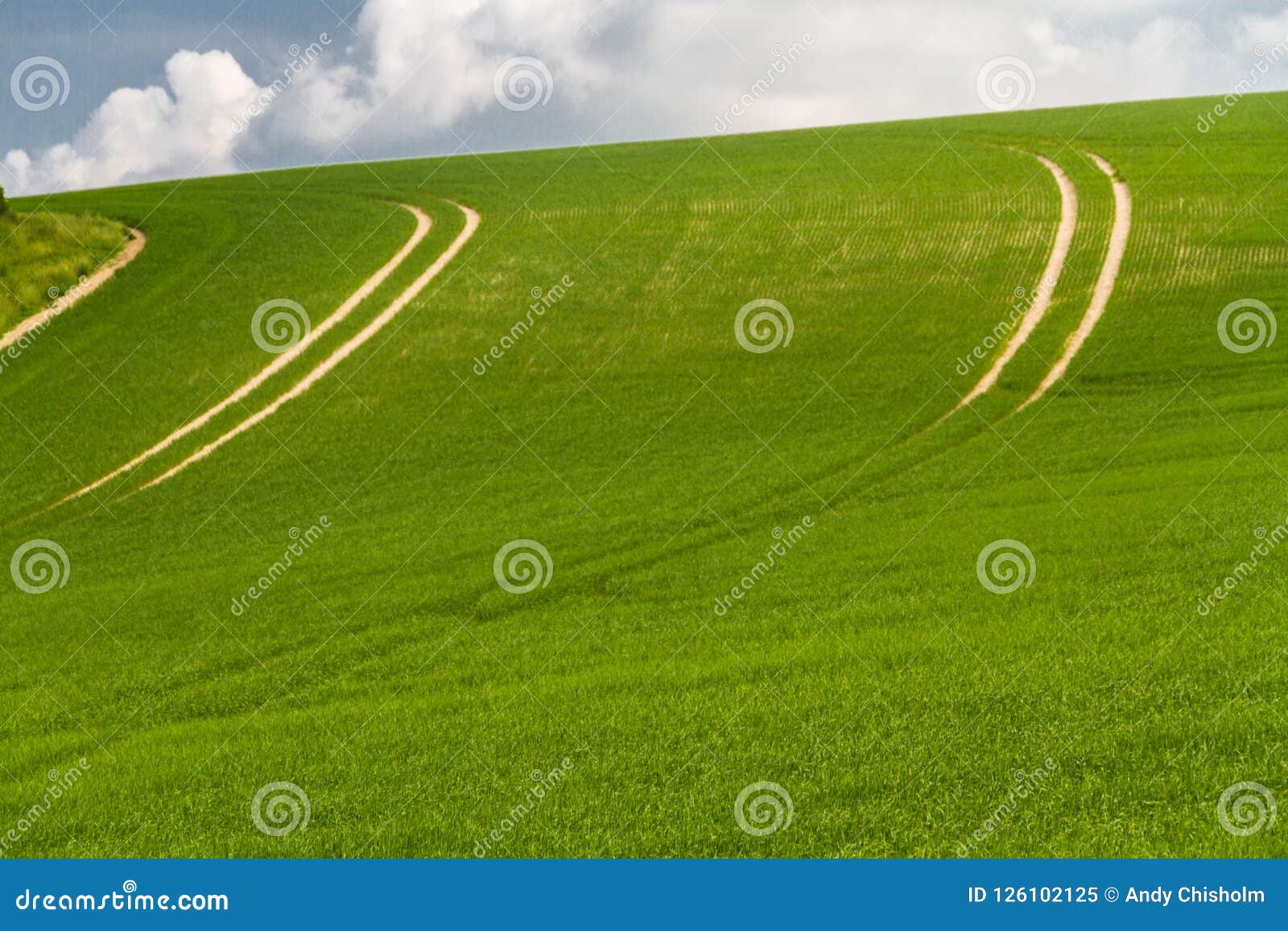 English Countryside Green Fields. Stock Image - Image of rolling ...
