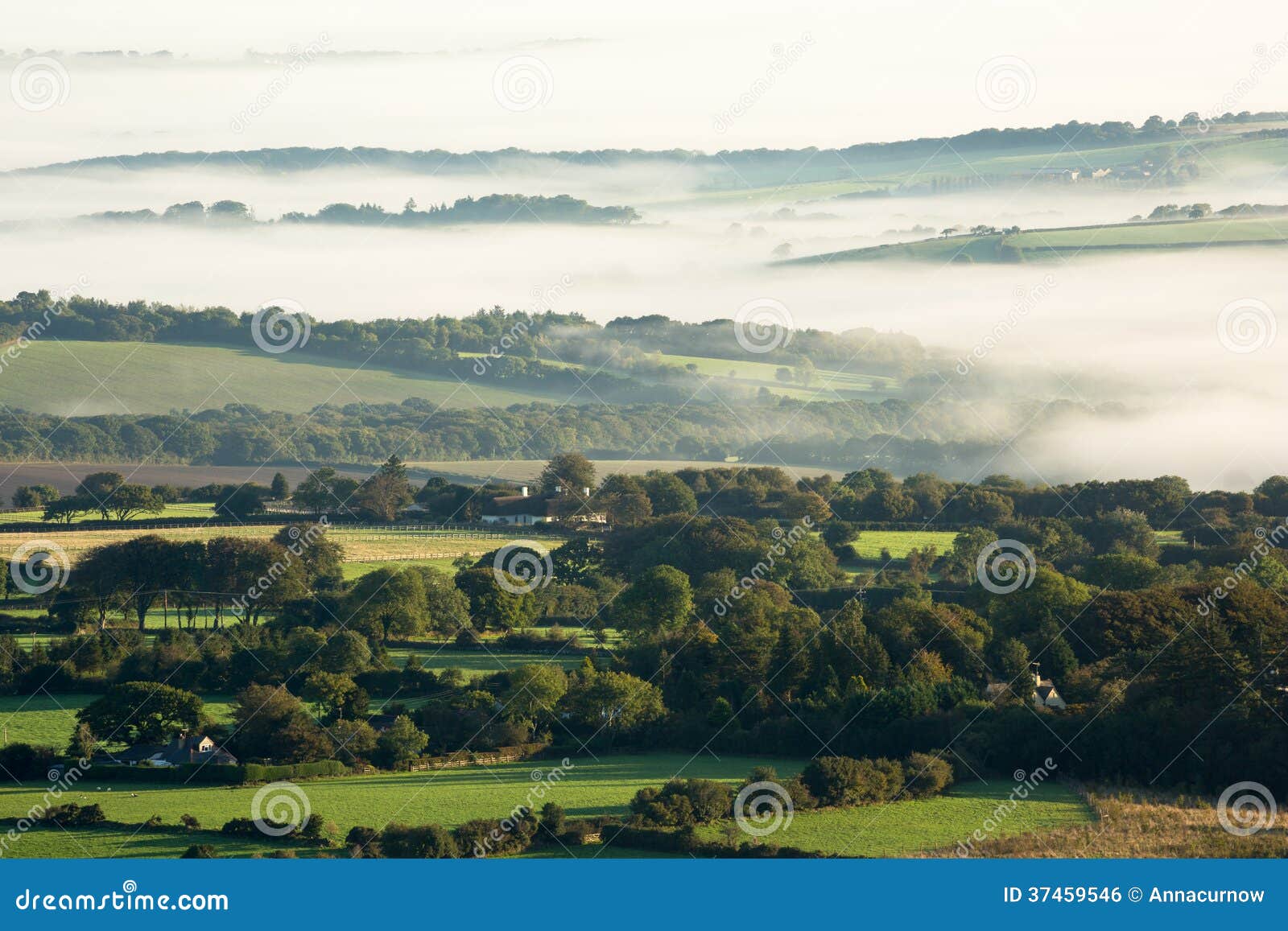English countryside stock photo. Image of wood, fields - 37459546