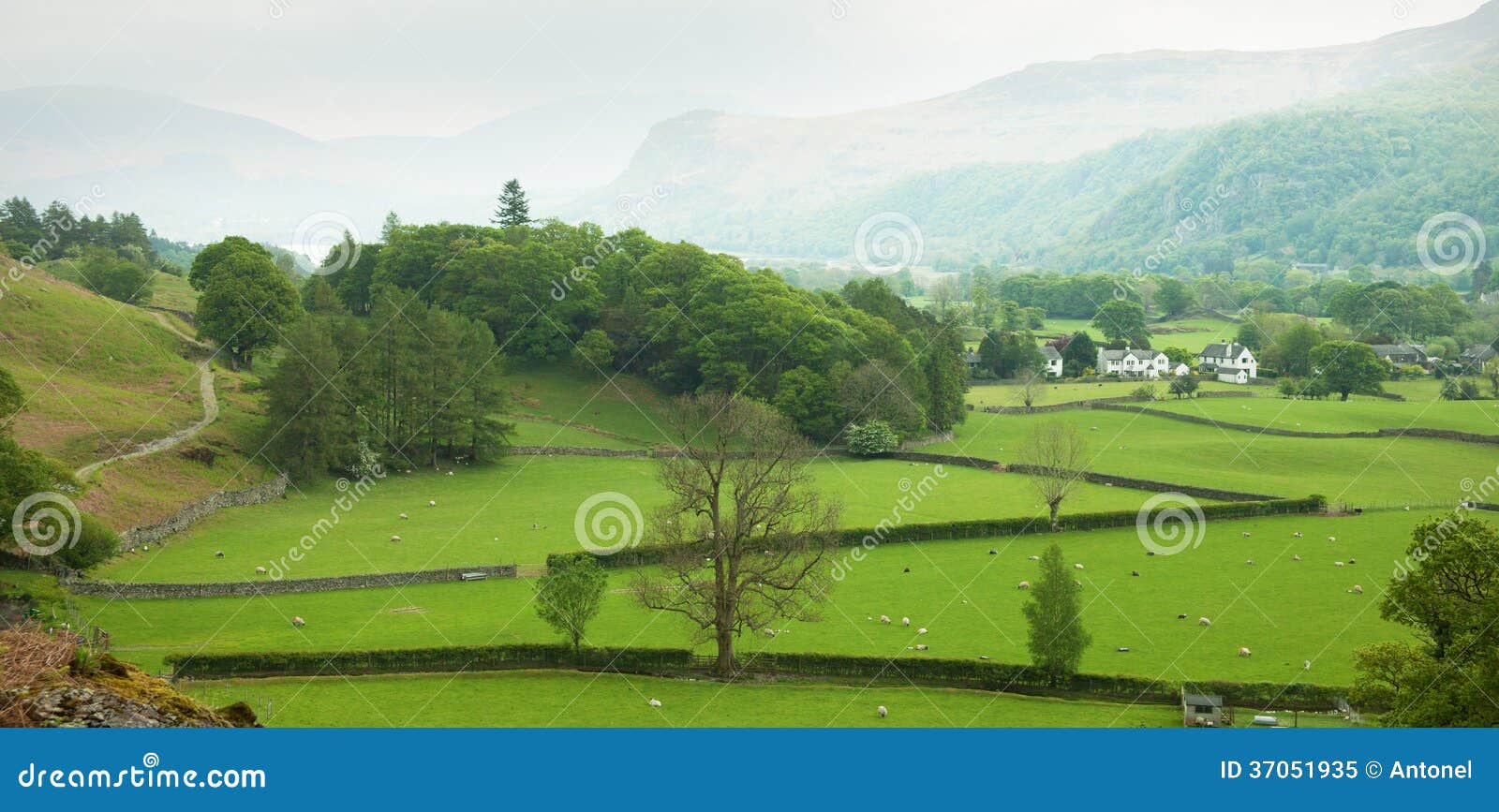 English Countryside in Spring Stock Image - Image of nature, beautiful ...
