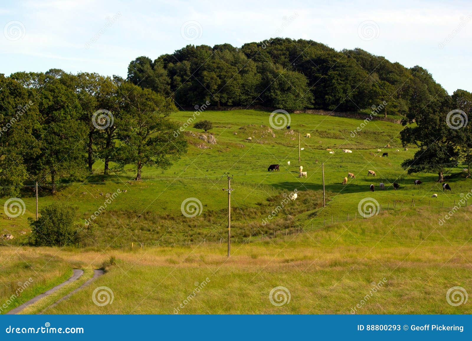 English Countryside stock image. Image of country, rural - 88800293