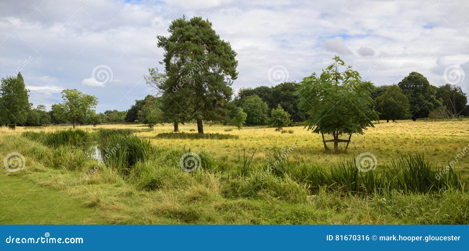 English Countryside Walking through Fields and Meadows Stock Photo ...