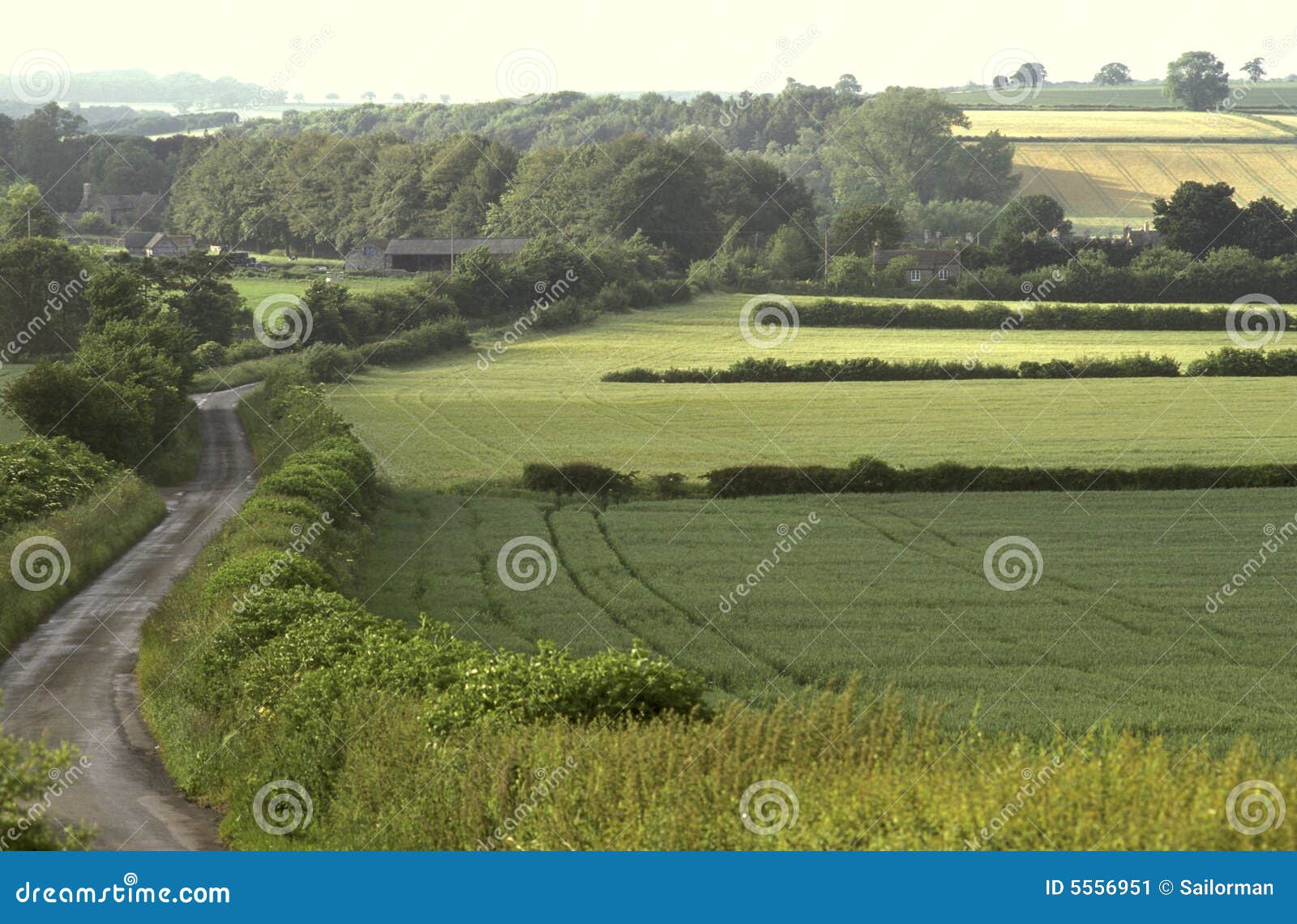 English farm fields stock image. Image of pasture, bucolic - 5556951