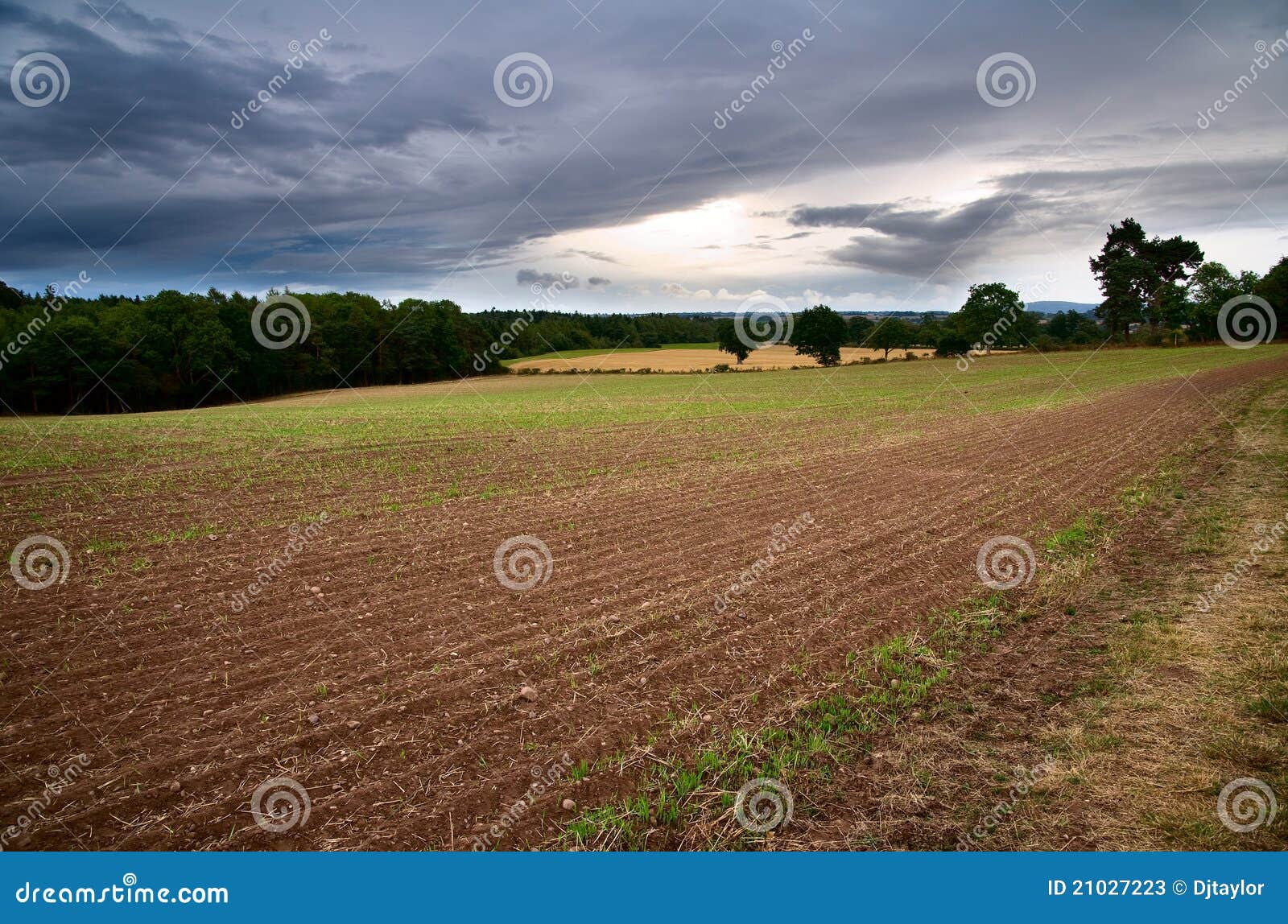 English farmers field stock image. Image of country, beautiful - 21027223