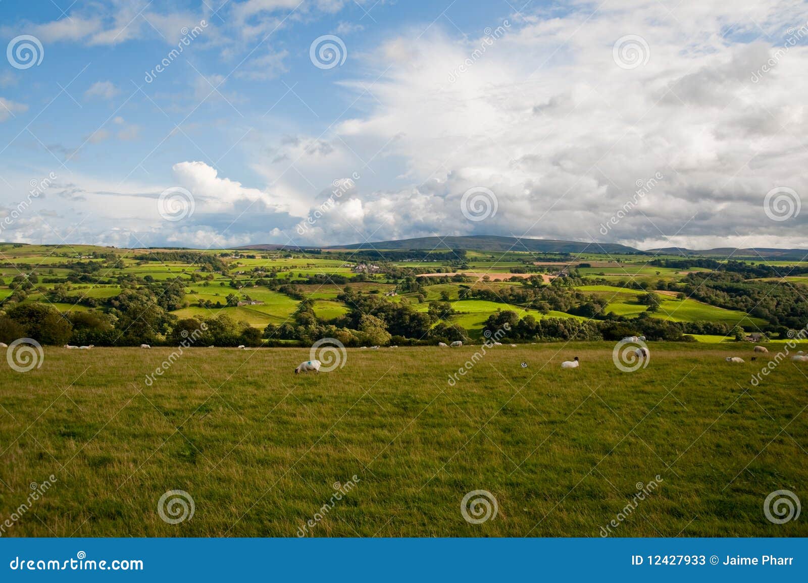 English field stock image. Image of grass, season, agriculture - 12427933