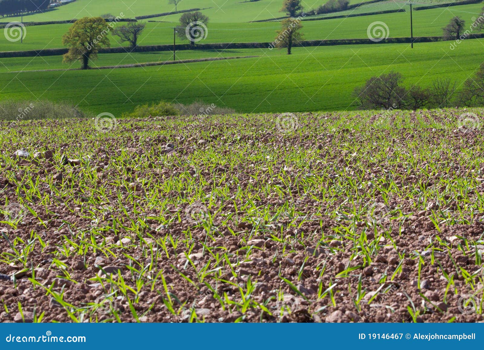 English Field stock image. Image of earth, fresh, cloud - 19146467