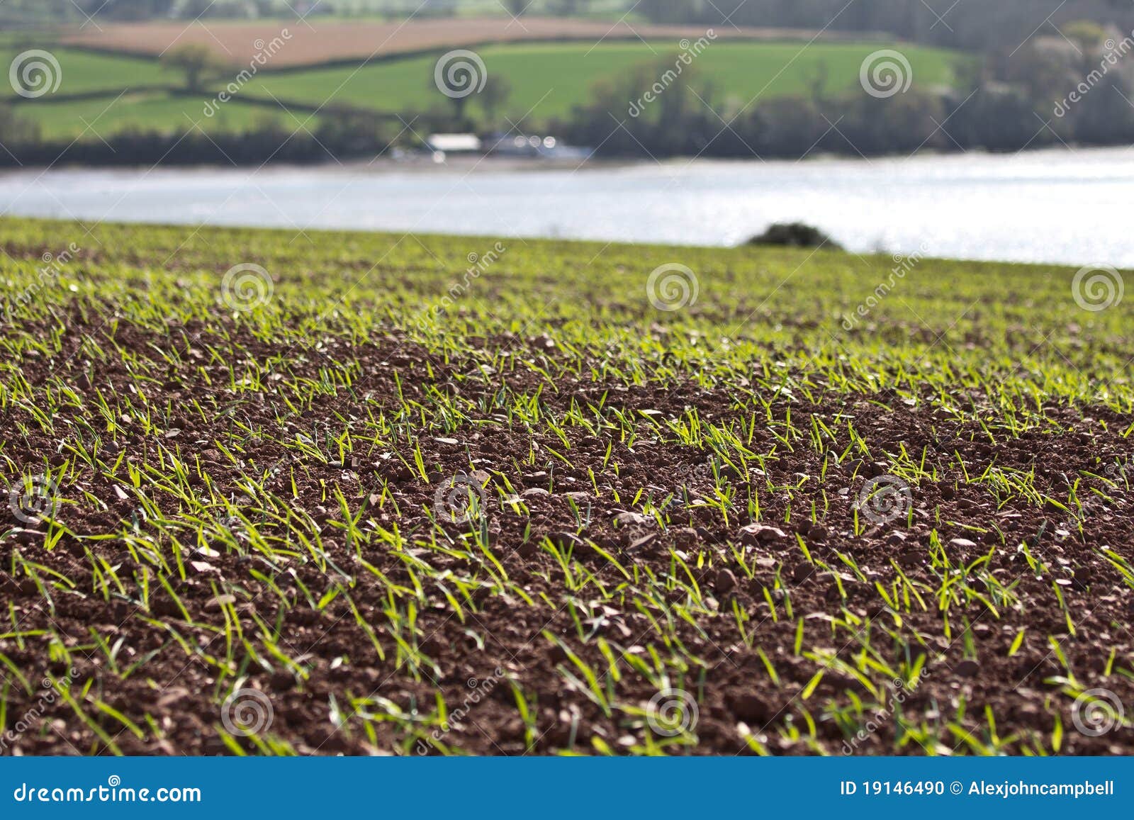 English Field stock photo. Image of farming, landscape - 19146490
