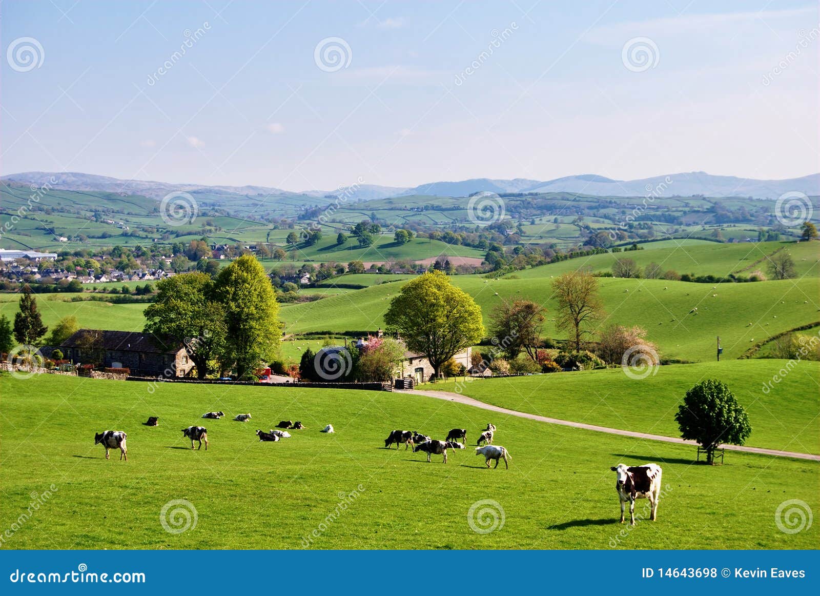 English field in Spring stock photo. Image of meadow - 14643698