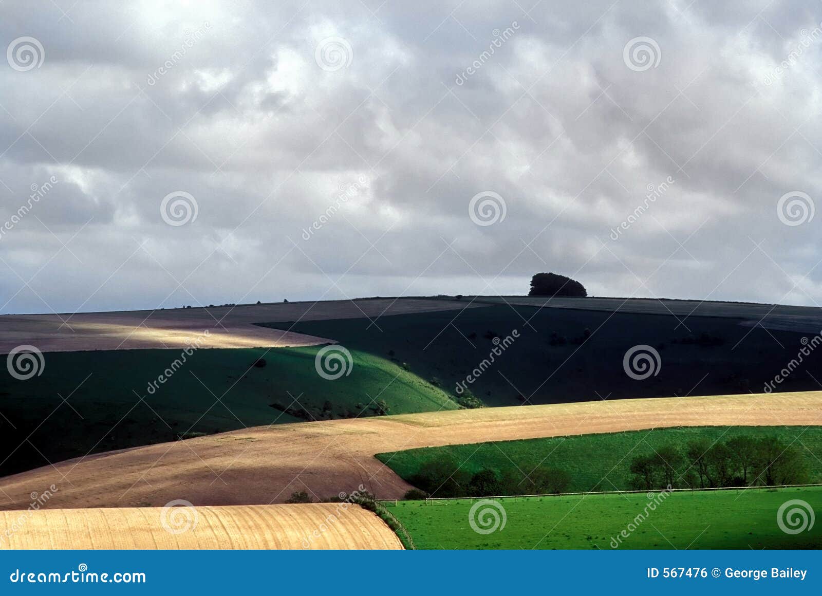 English Fields stock photo. Image of landscape, england - 567476