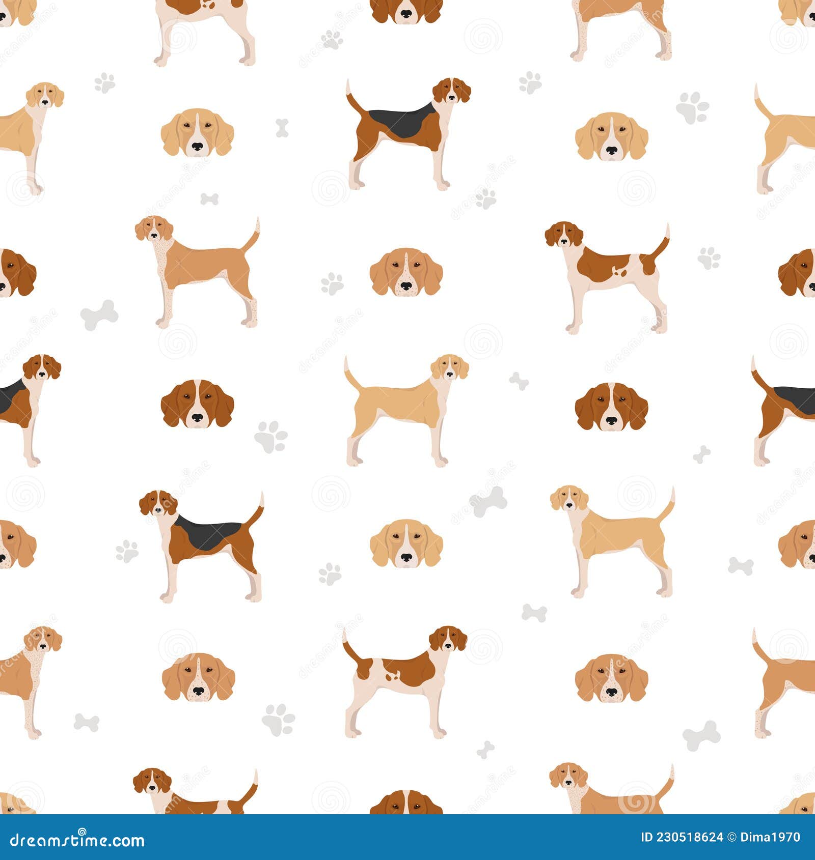 English Foxhound Seamless Pattern. Different Poses, Coat Colors Set ...