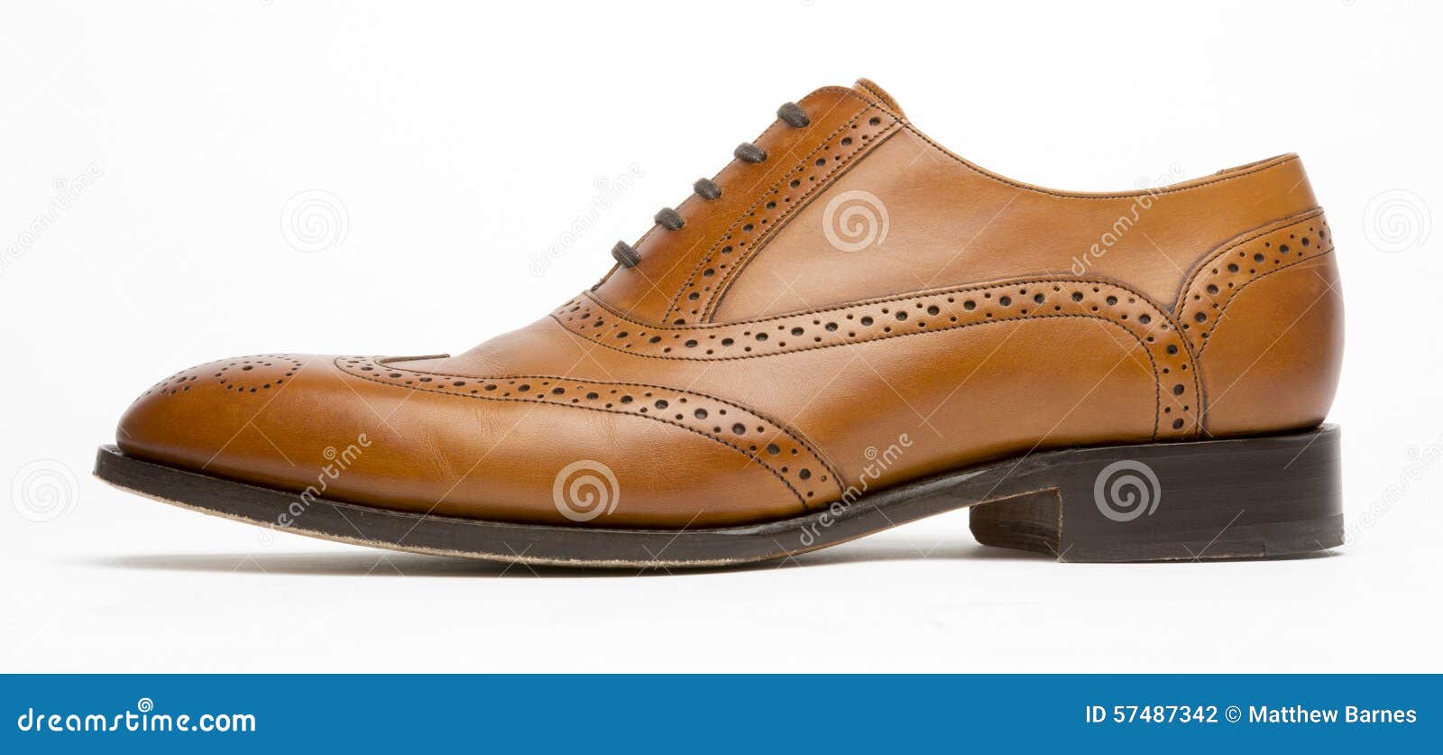 English Full Brogue Brown Shoe Profile Stock Photo - Image of male ...