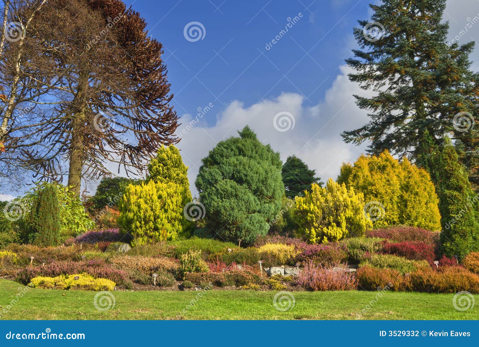 English garden in Autumn stock photo. Image of holehird - 3529332