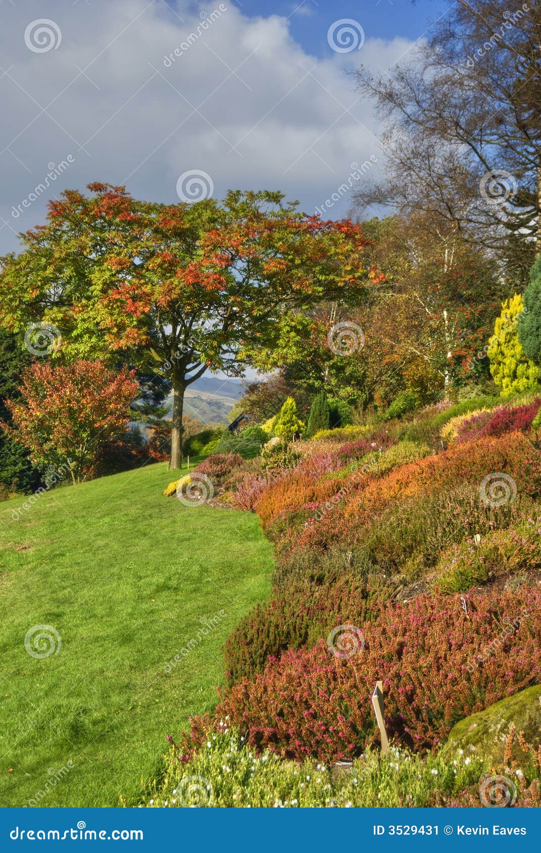 English garden in Autumn stock image. Image of elegance - 3529431