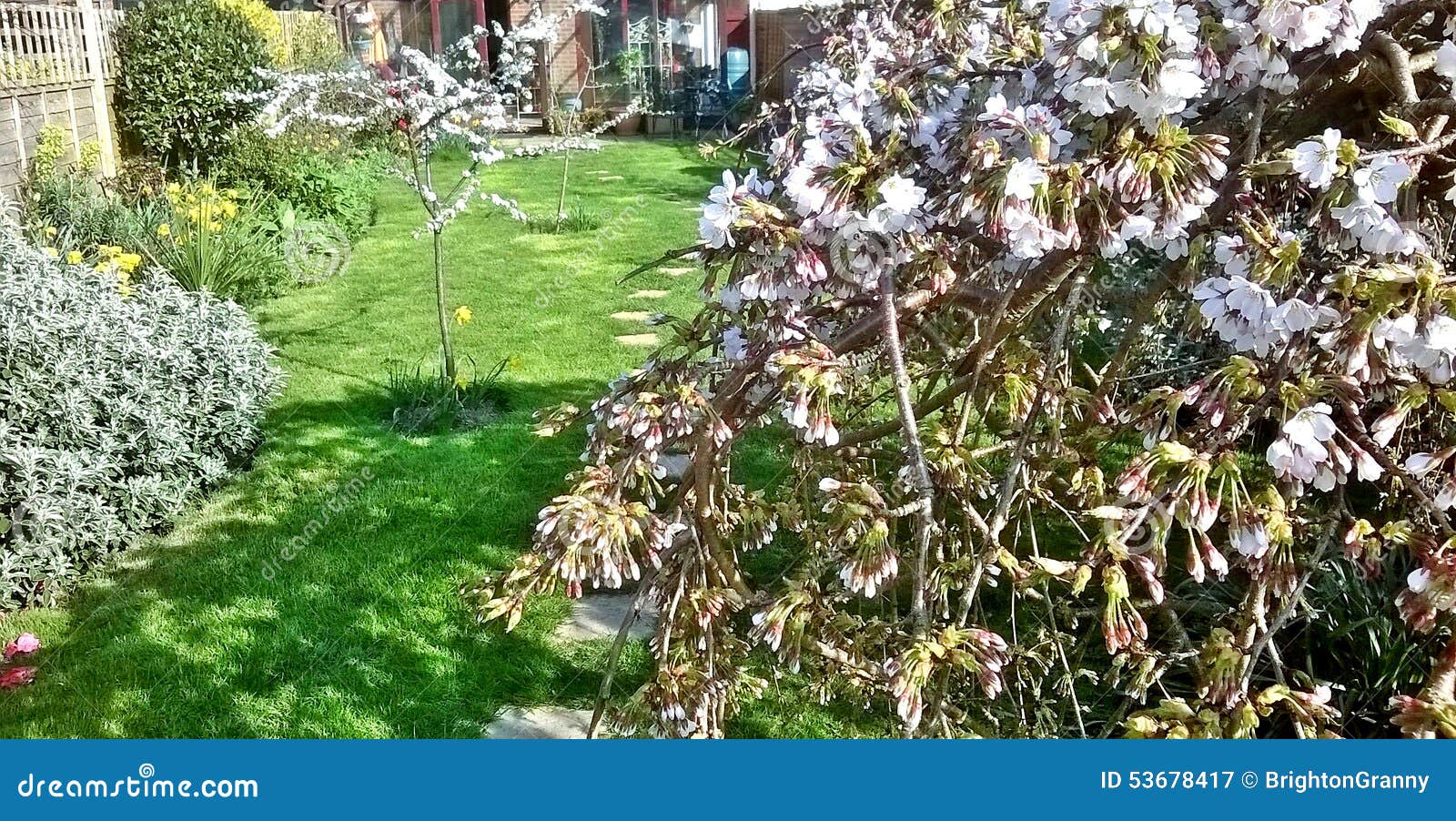 English garden stock image. Image of blooms, bush, flower - 53678417