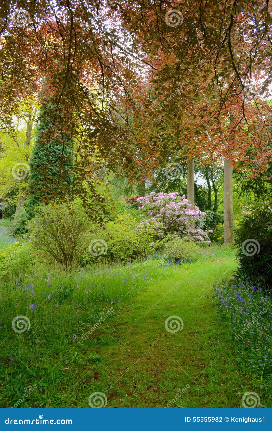 English garden stock photo. Image of plants, beautiful - 55555982