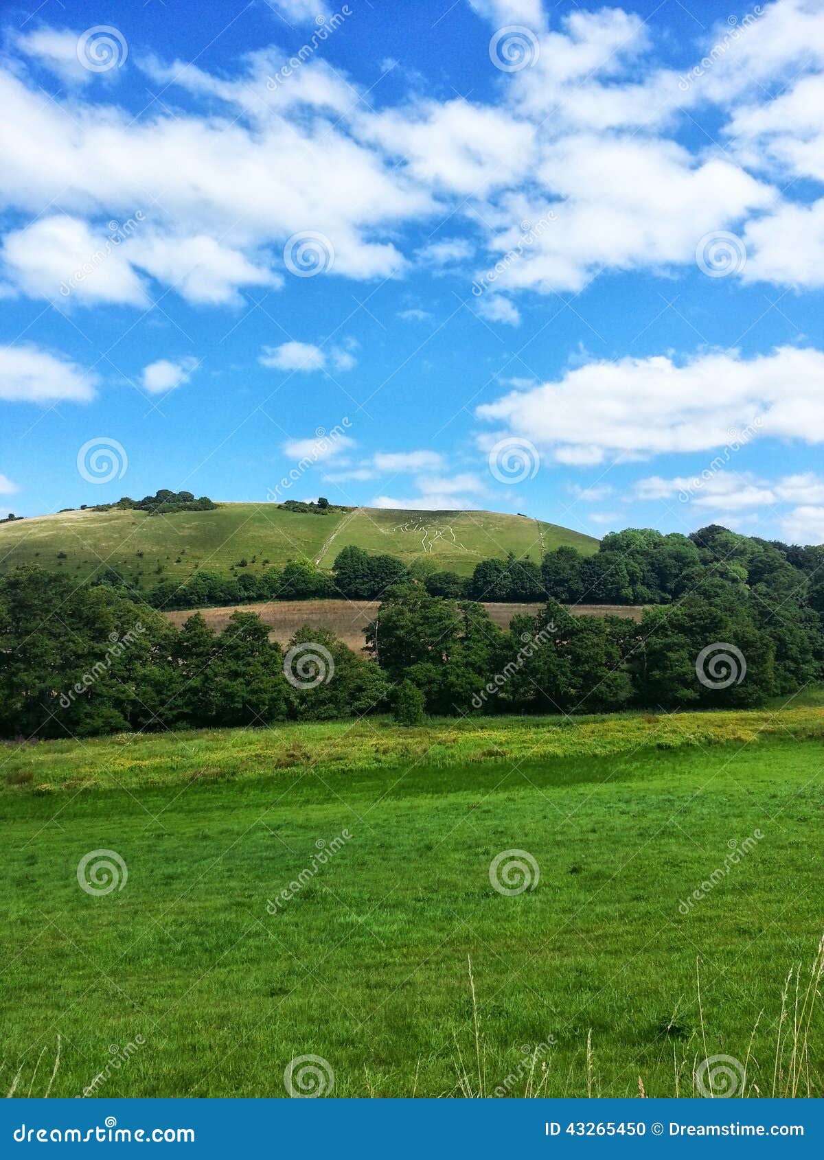 English hills stock photo. Image of british, trees, english - 43265450