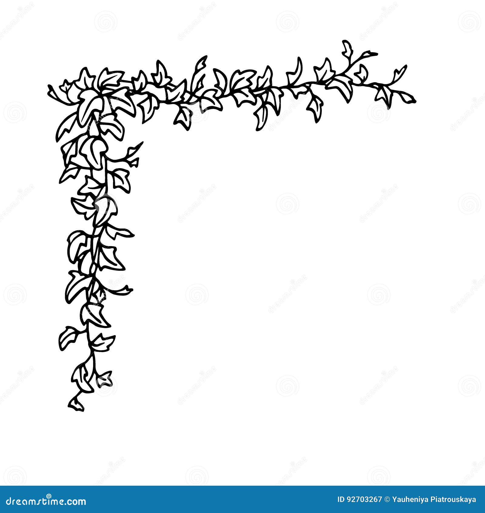 English ivy corner stock vector. Illustration of foliage - 92703267