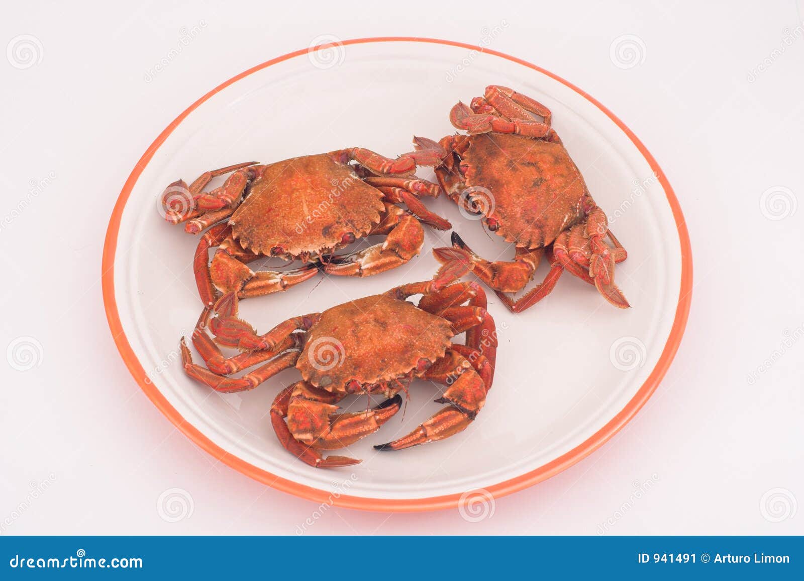 English lady crab stock image. Image of marine, food, crab - 941491