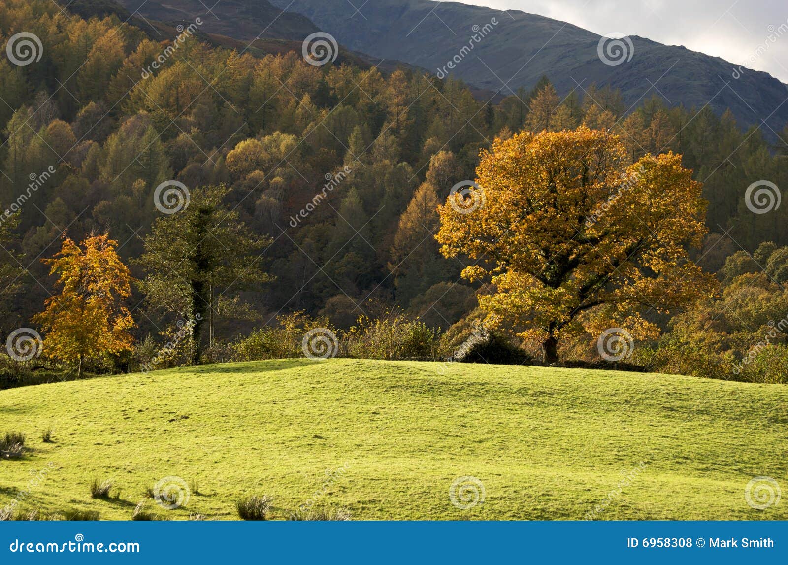 The English Lake District in Autumn (Fall) Stock Photo - Image of ...