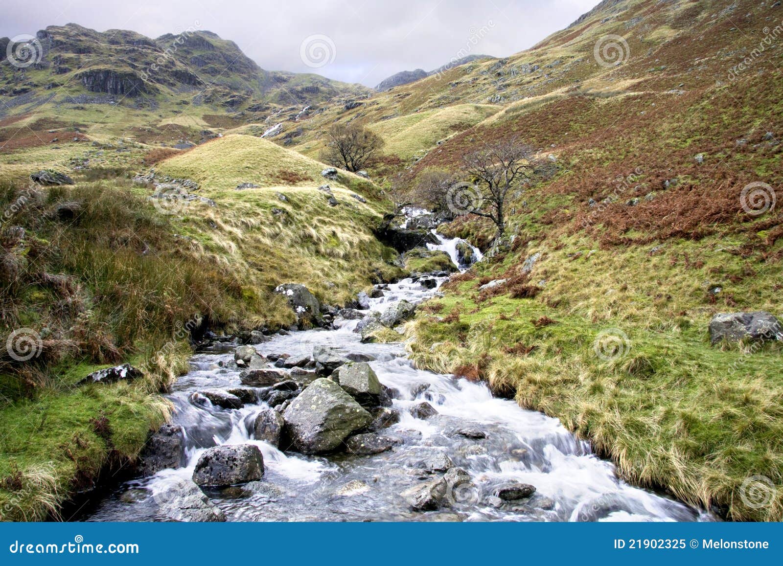 English landscape stock image. Image of beck, british - 21902325