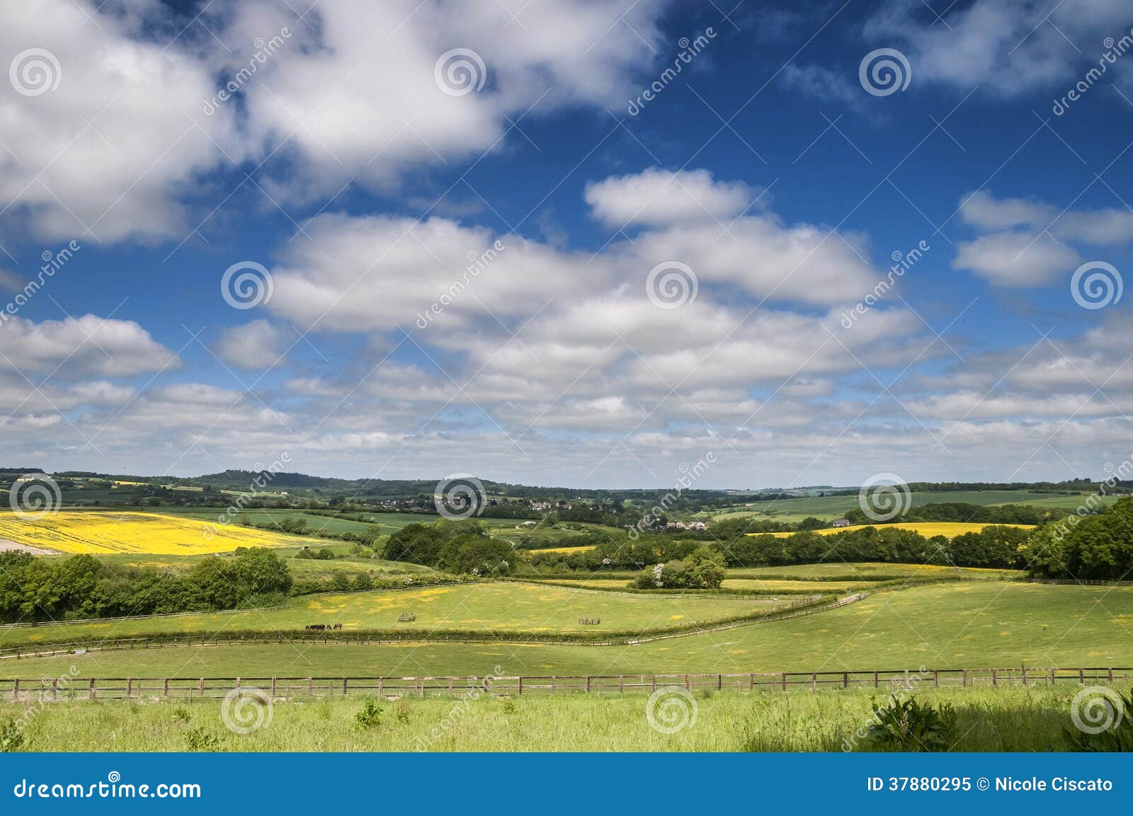 English landscape stock image. Image of equine, flowers - 37880295