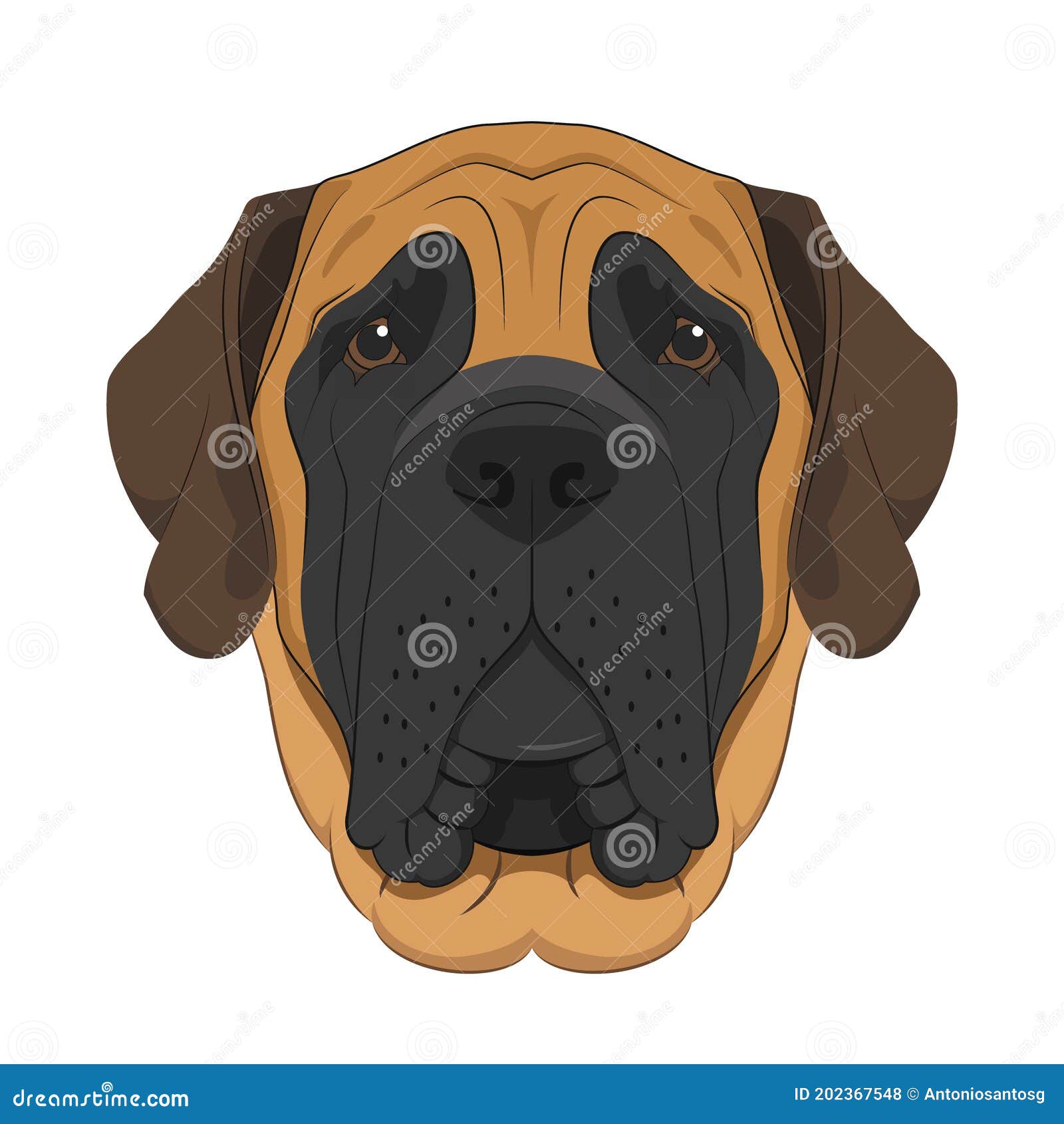 English Mastiff Dog Isolated on White Background Vector Illustration ...