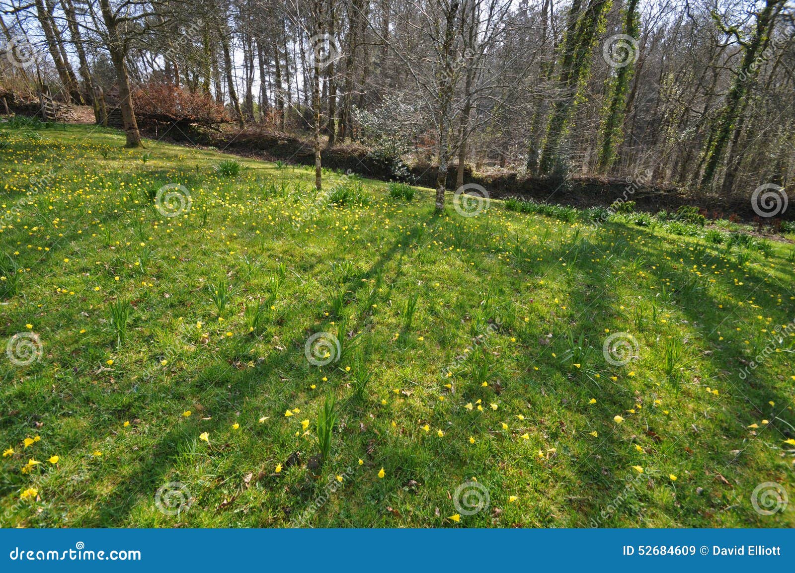 English Meadow stock image. Image of peaceful, landscape - 52684609