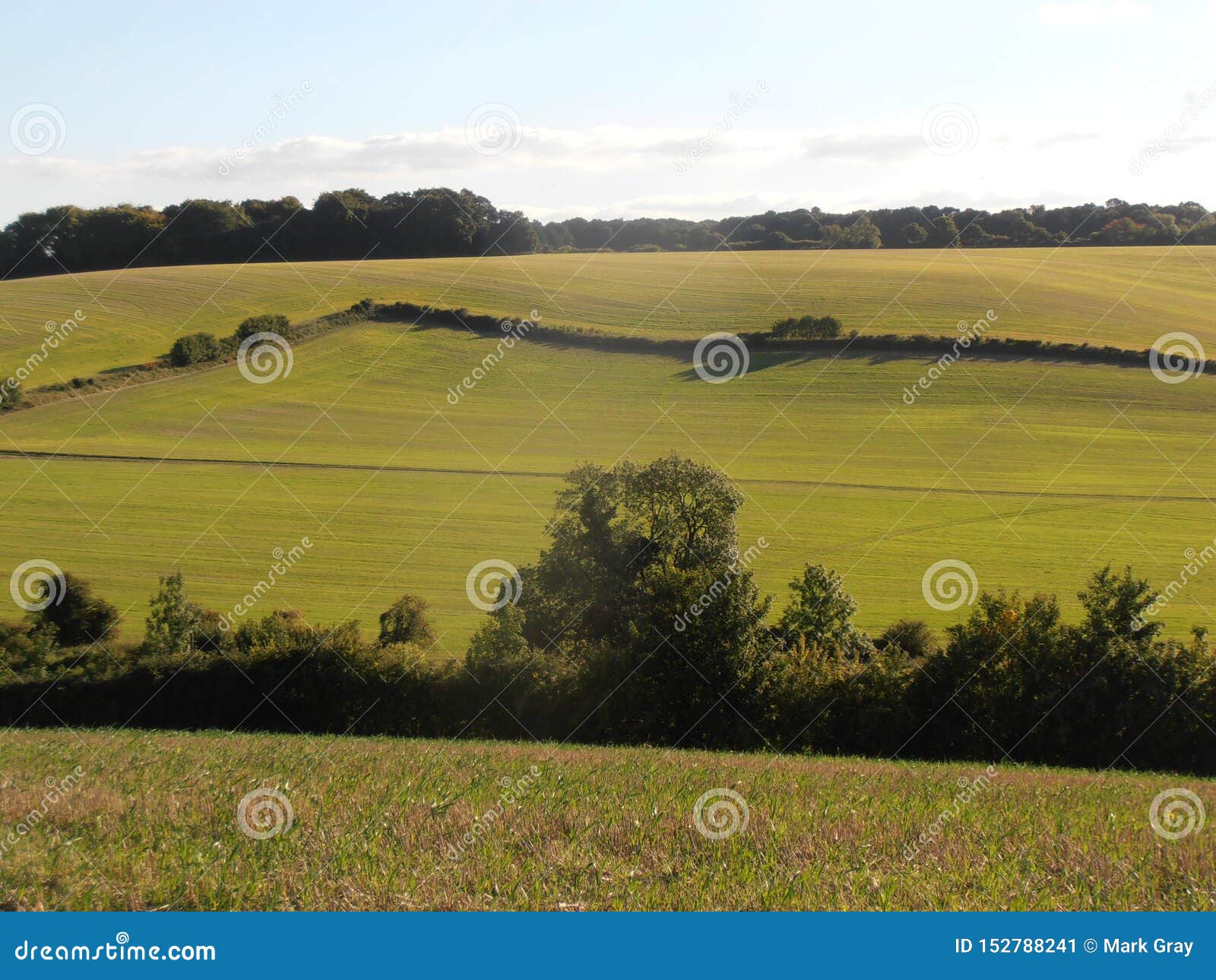 Rolling Hills stock image. Image of english, hills, fields - 152788241