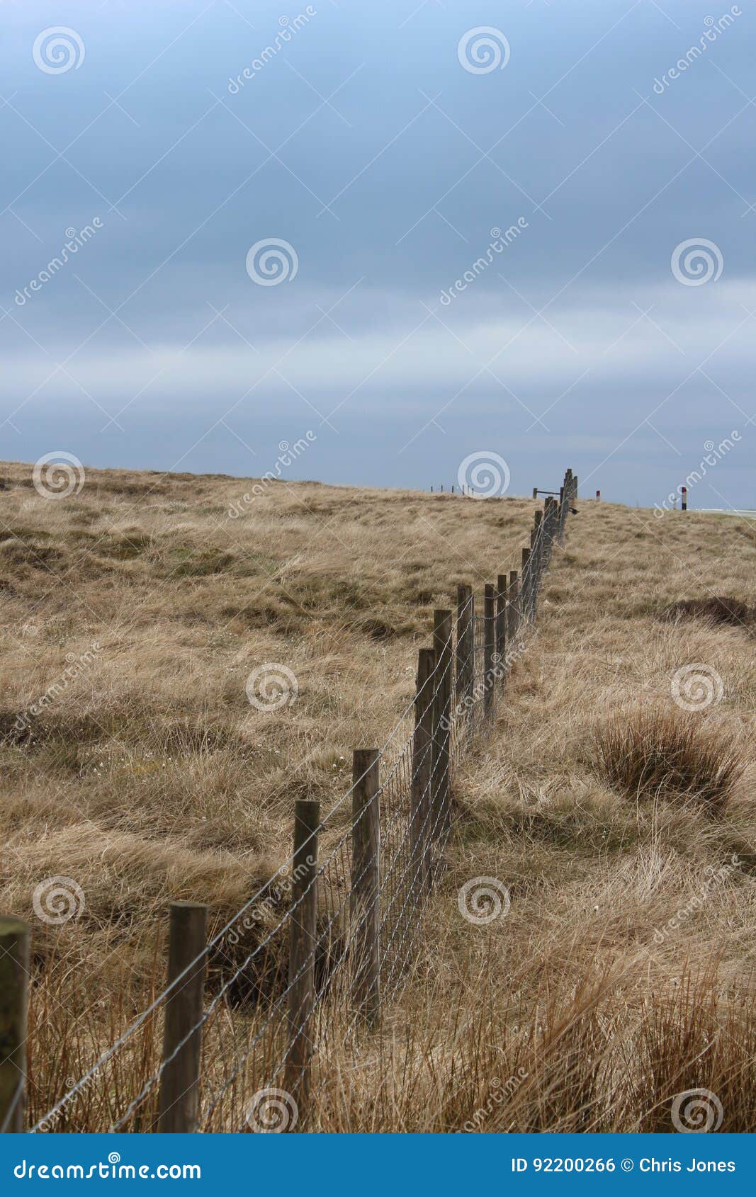 English moorland stock photo. Image of background, bleak - 92200266
