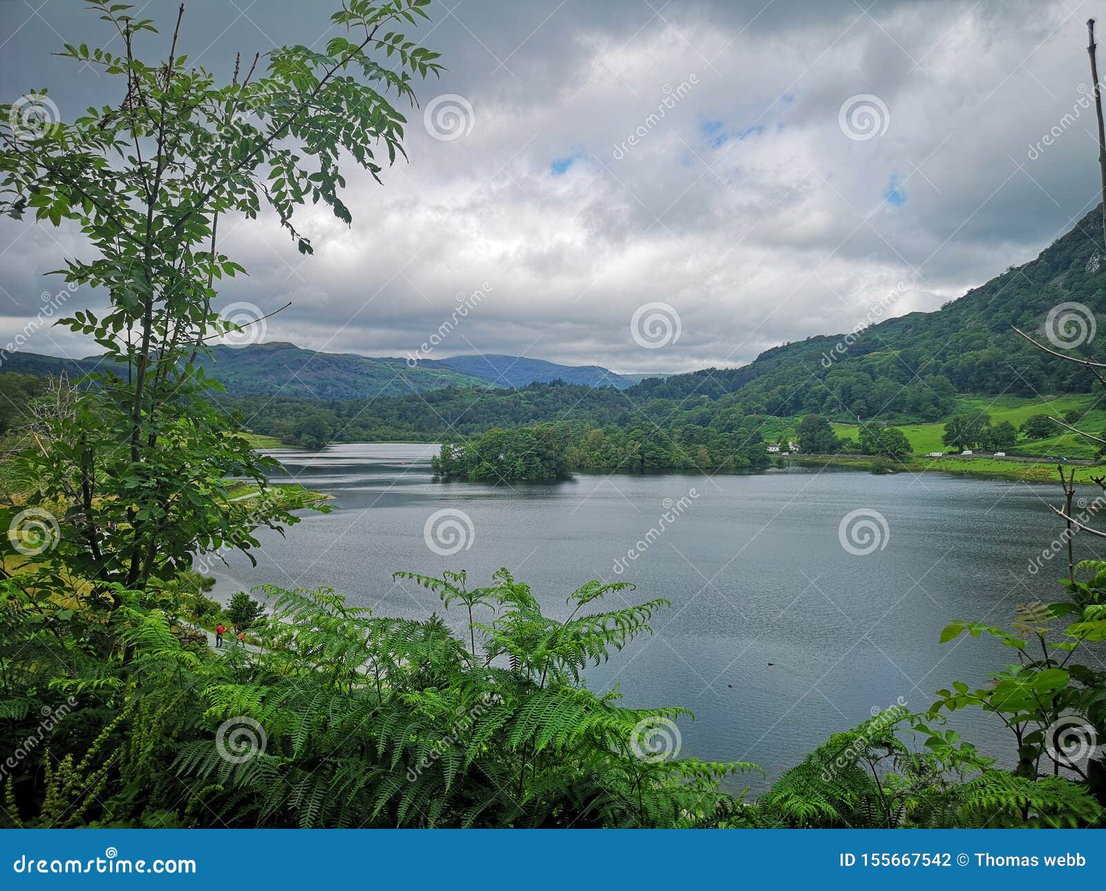 English open water stock photo. Image of water, open - 155667542