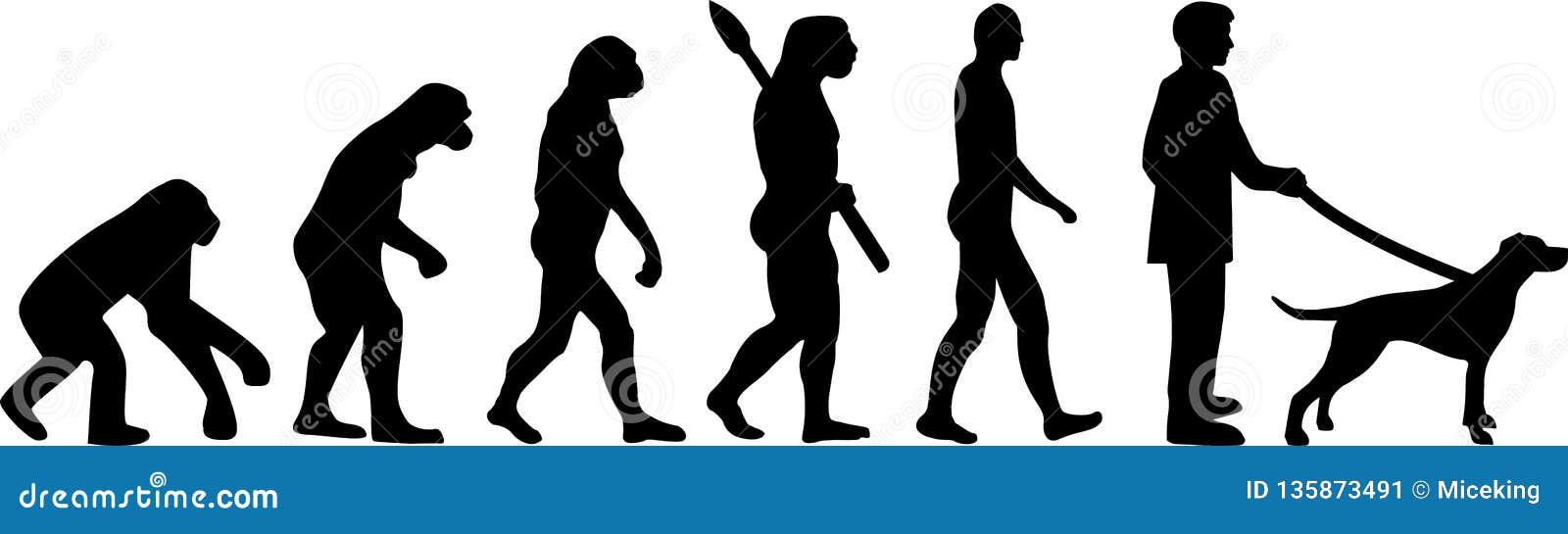 English Pointer evolution stock vector. Illustration of puppy - 135873491