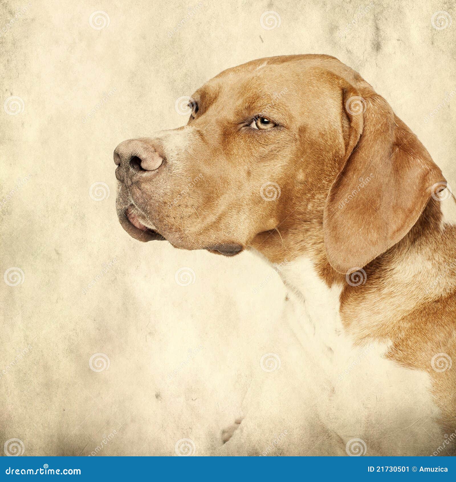 37,785 Pointer Background Stock Photos - Free & Royalty-Free Stock ...