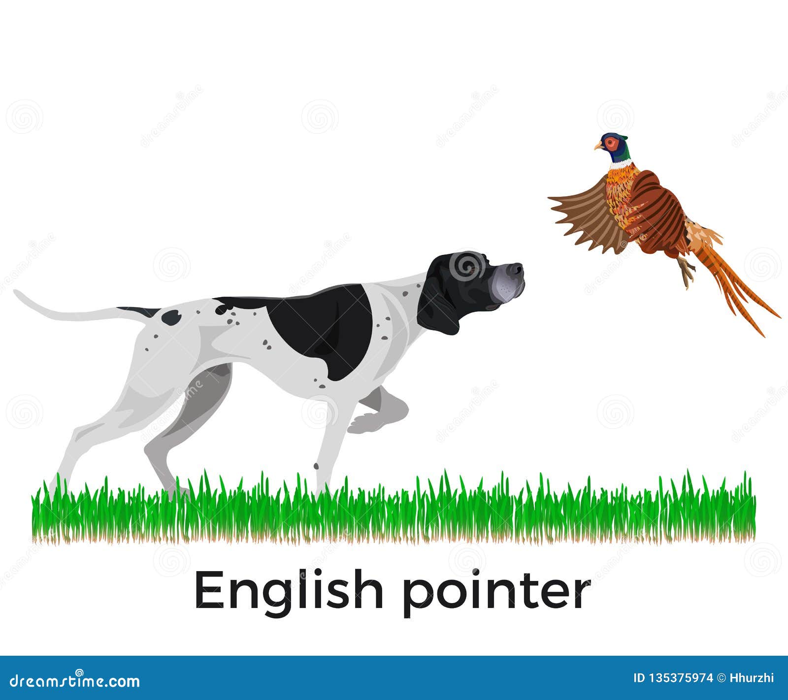 English Pointer Silhouettes Cartoon Vector | CartoonDealer.com #133631953