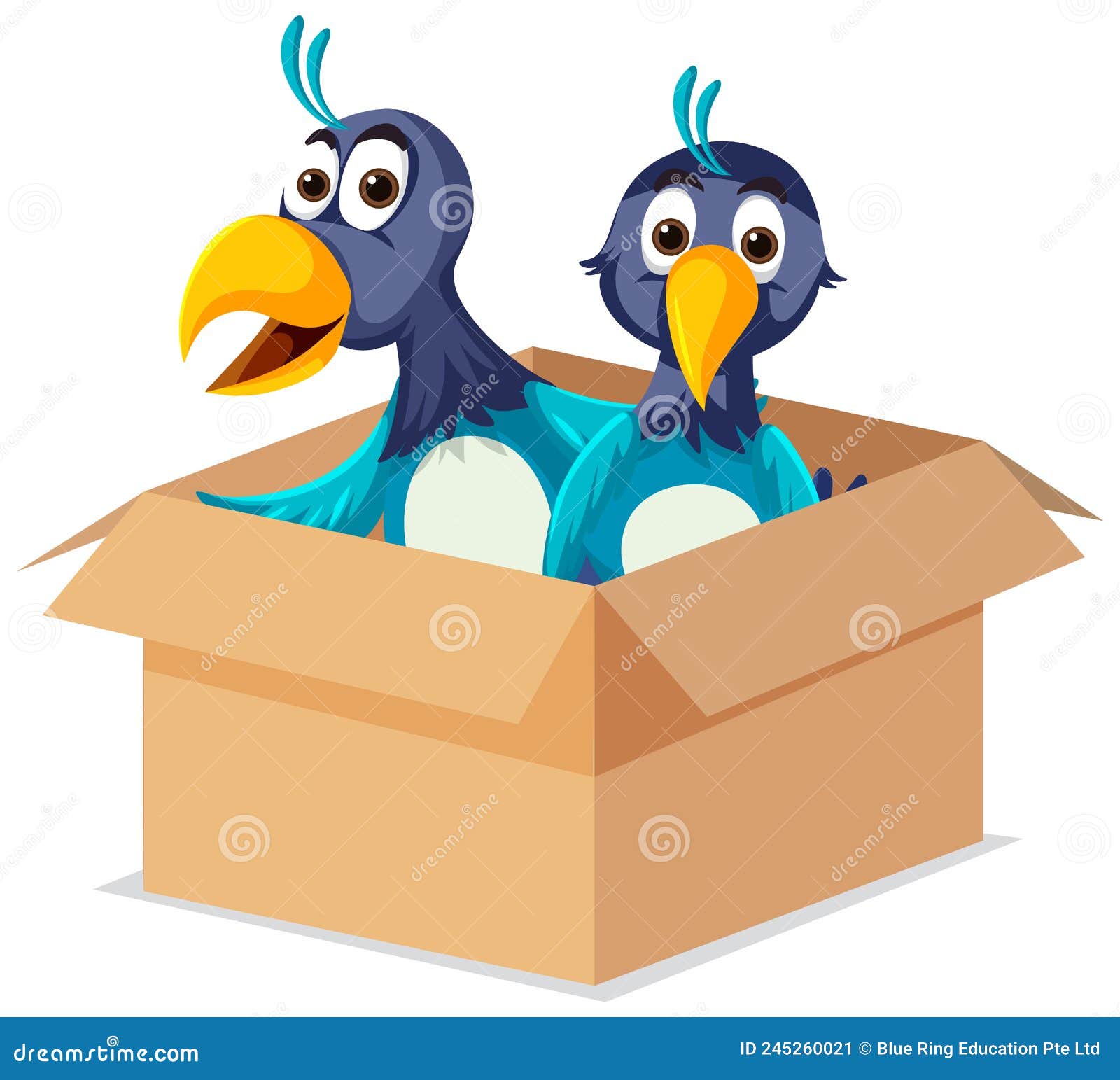 English Prepositions With Birds In The Boxes Cartoon Vector ...