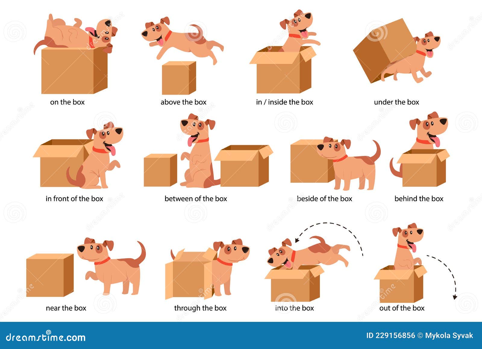 Prepositions. Cat Playing With Box Learning English Prepositions On ... Prepositions. Cat Playing With Box Learning English Prepositions On ...