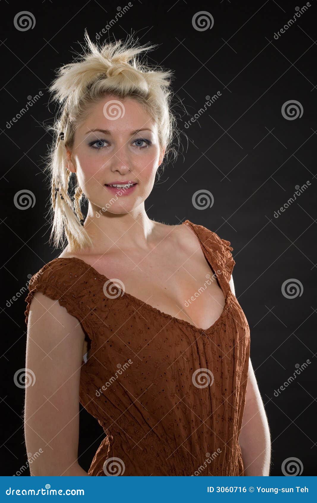 English rose 2 stock photo. Image of healthy, cosmetics - 3060716