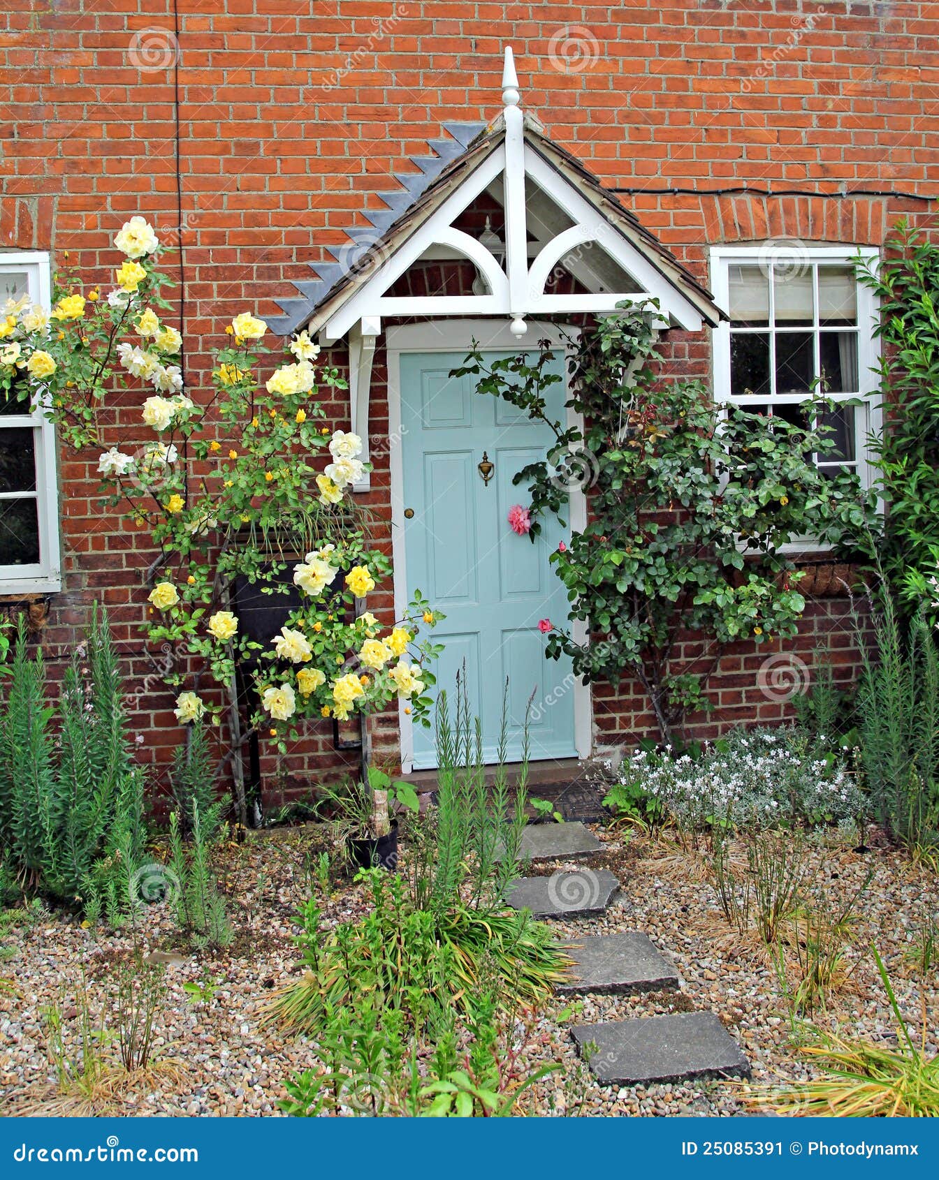 English Rose Country Cottage Stock Image - Image of garden, front: 25085391