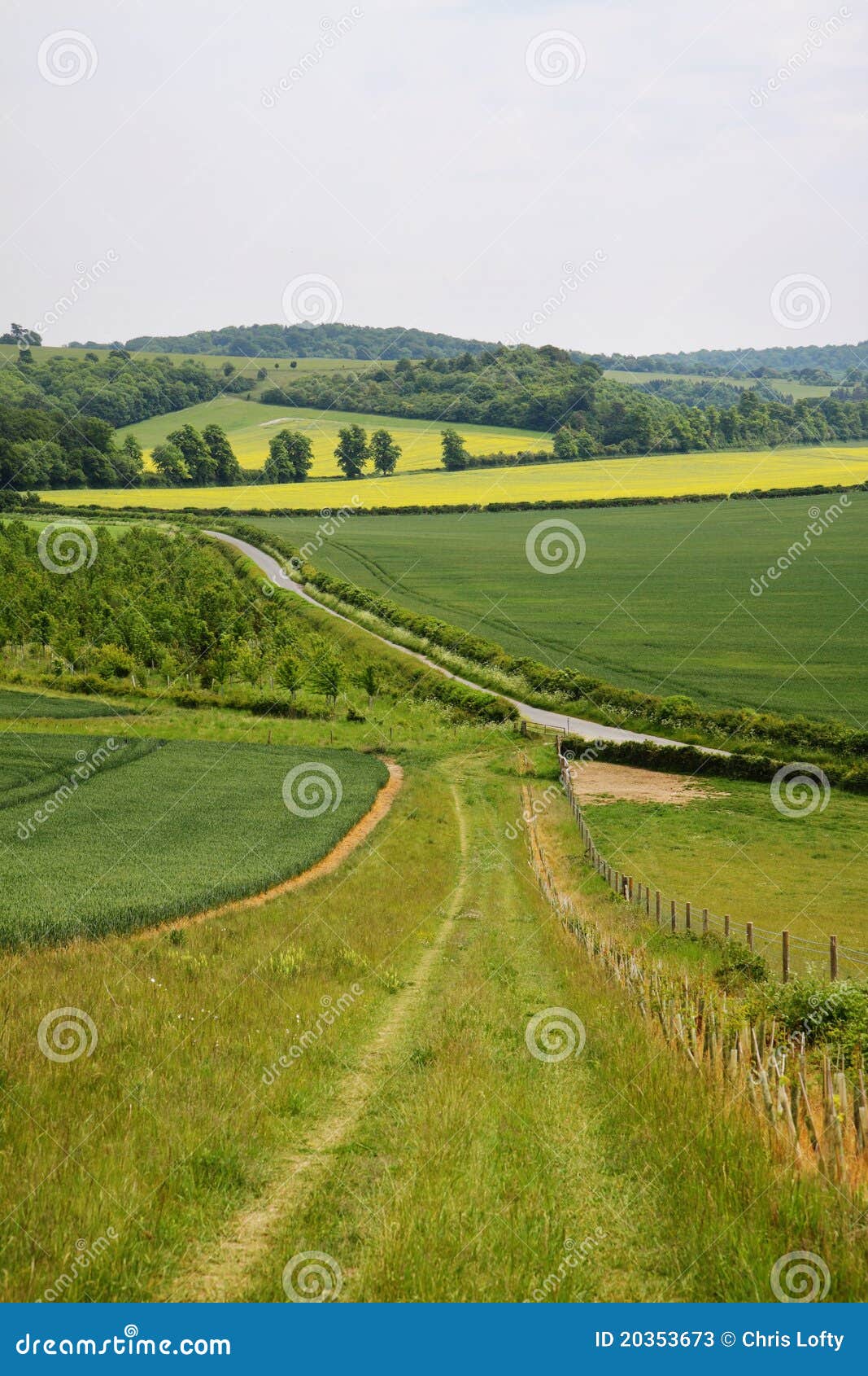 An English Rural Landscape stock image. Image of meadow - 20353673