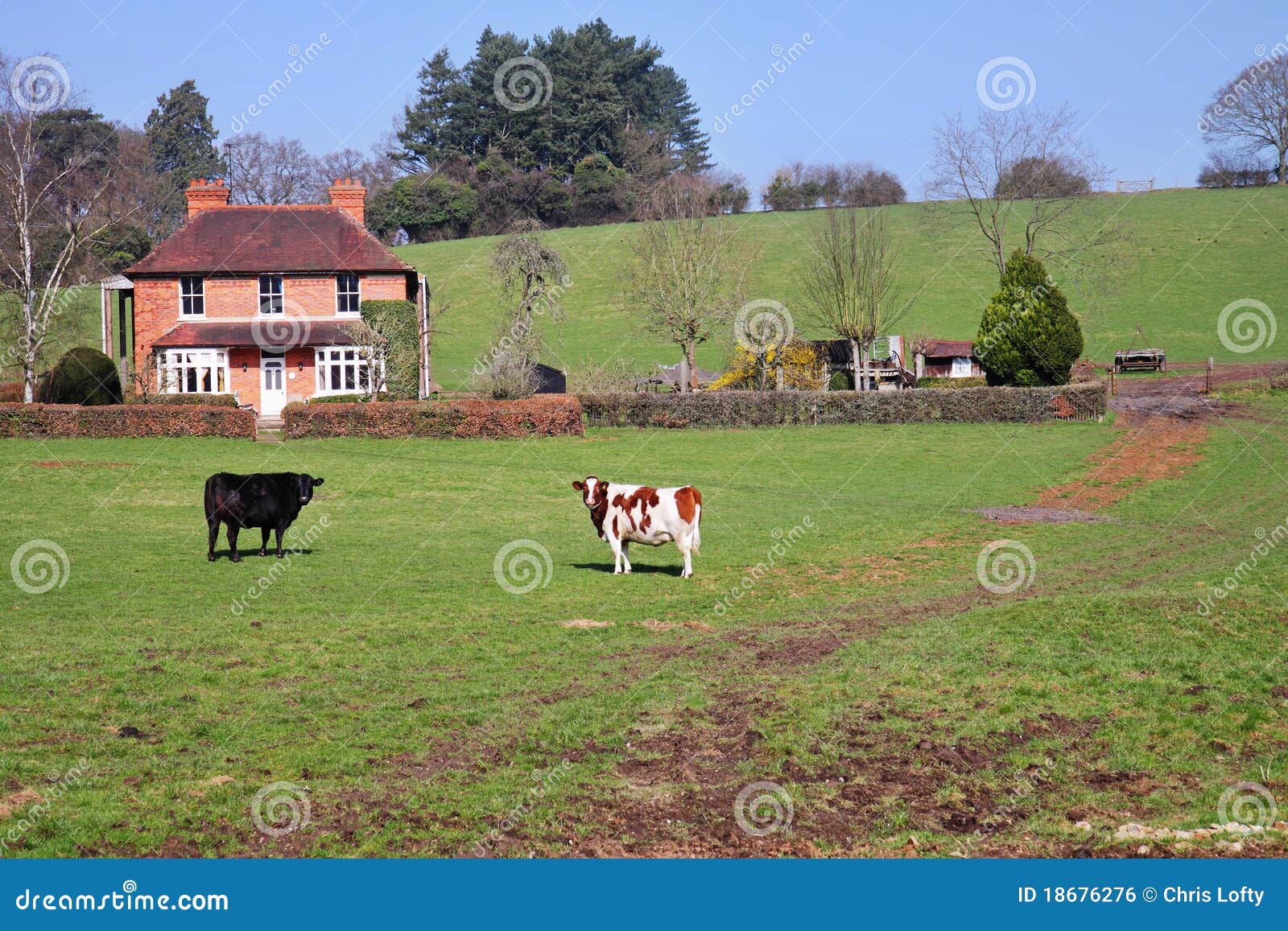 An English Rural Landscape with Farm Stock Photo - Image of peace ...