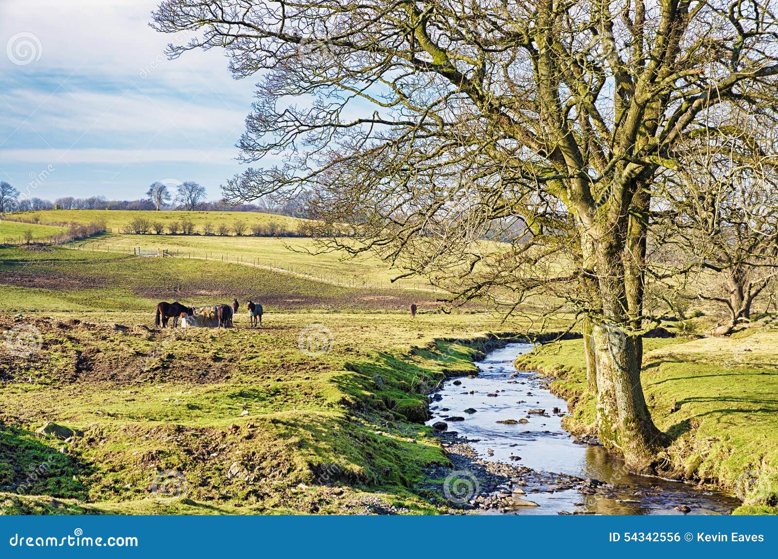 An English Rural Landscape Stock Image | CartoonDealer.com #41100019
