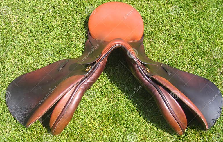 English saddle stock image. Image of belt, lawn, horse - 18037053