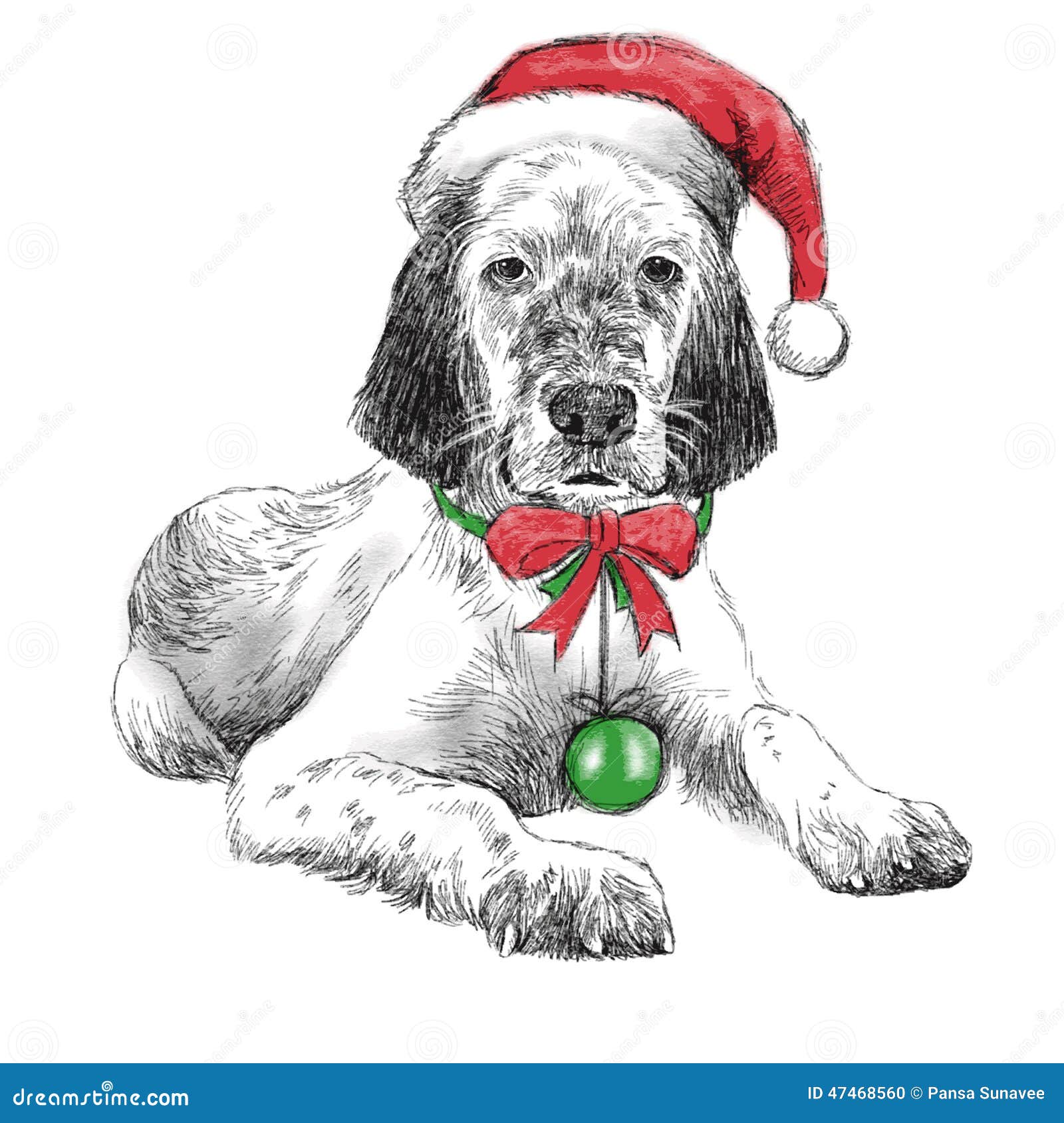 English Setter Cartoon Vector | CartoonDealer.com #53649783